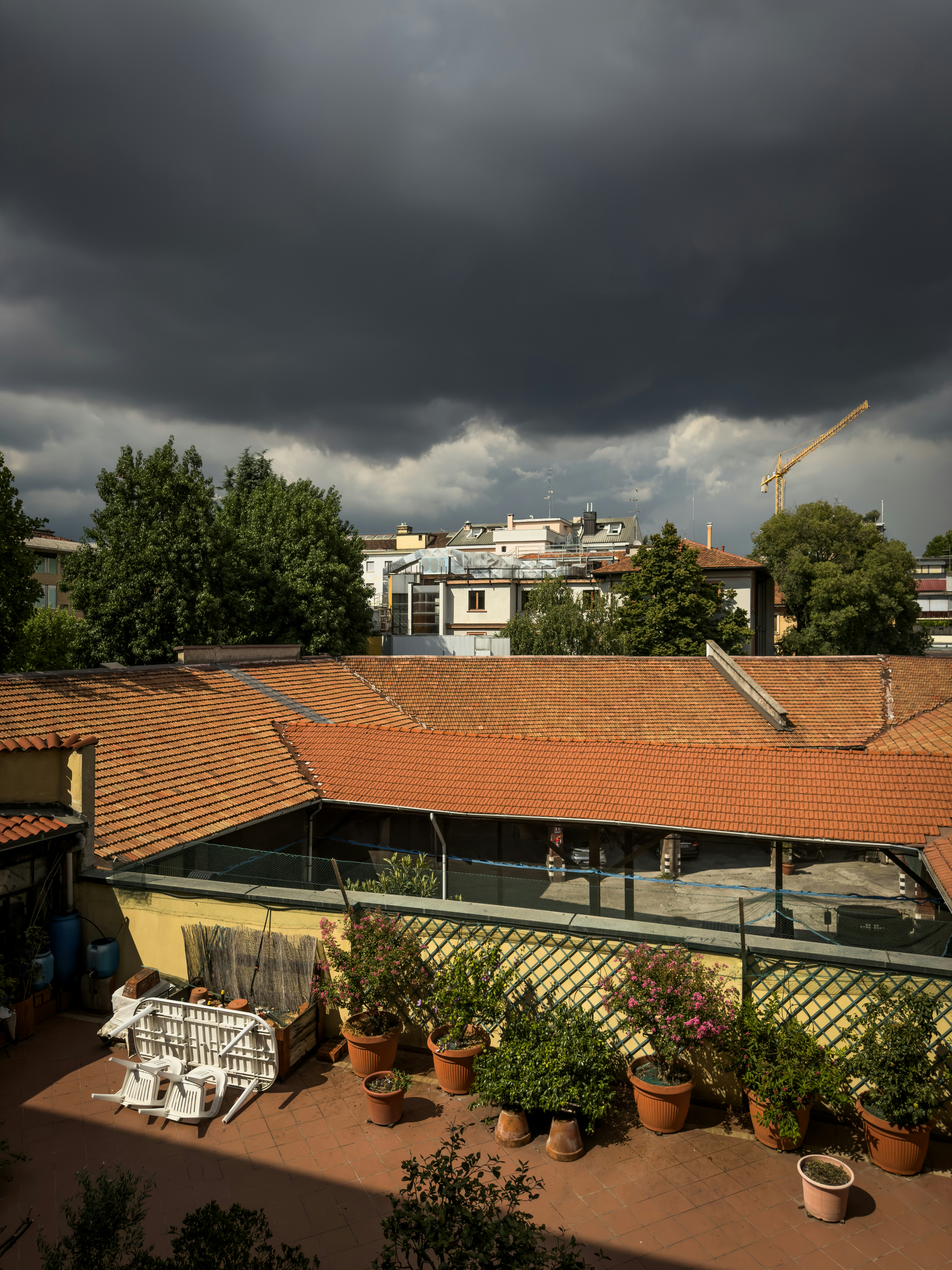 Urban Oasis Under Gathering Storms