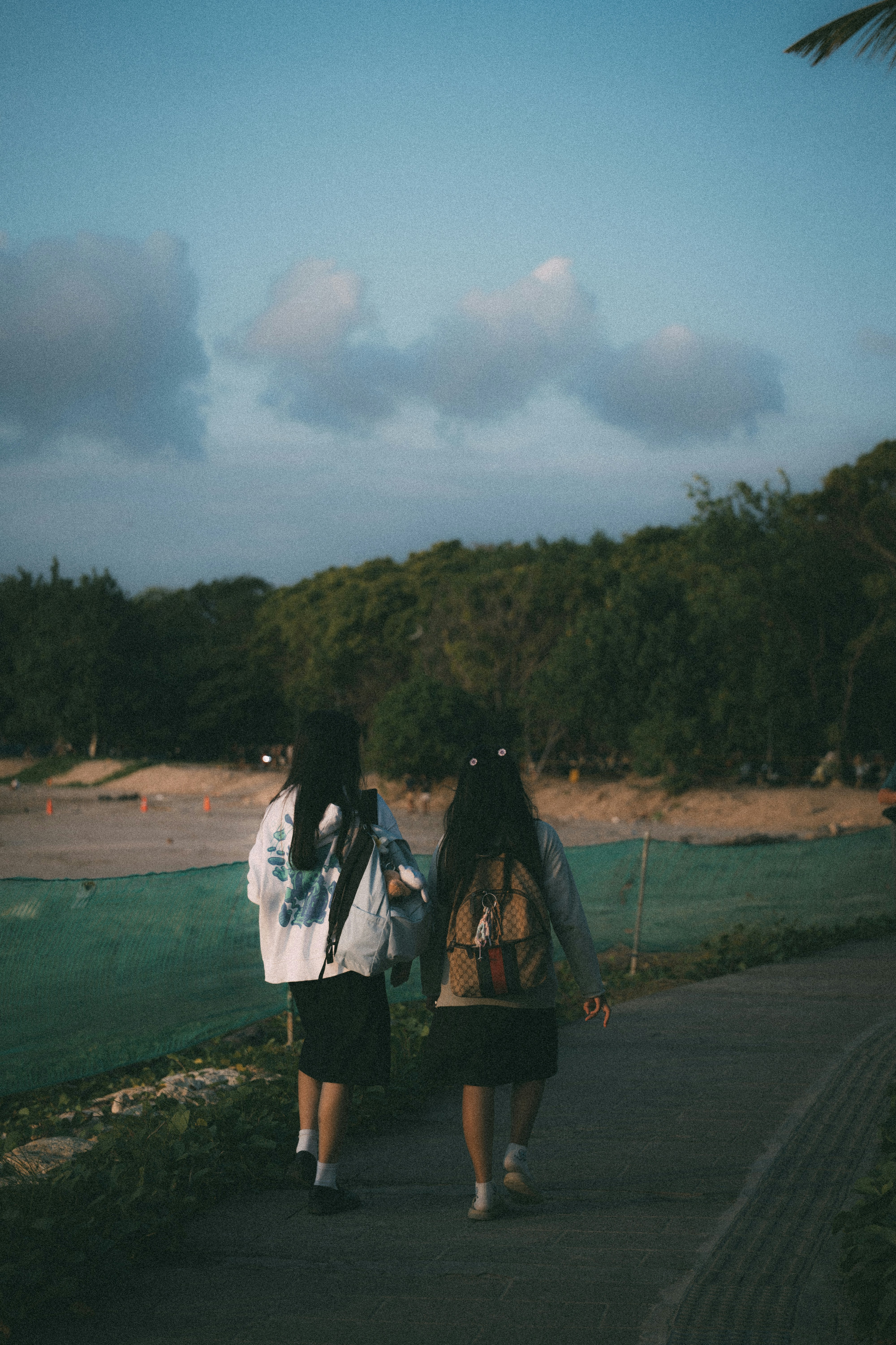 Two girls walk together on a path.