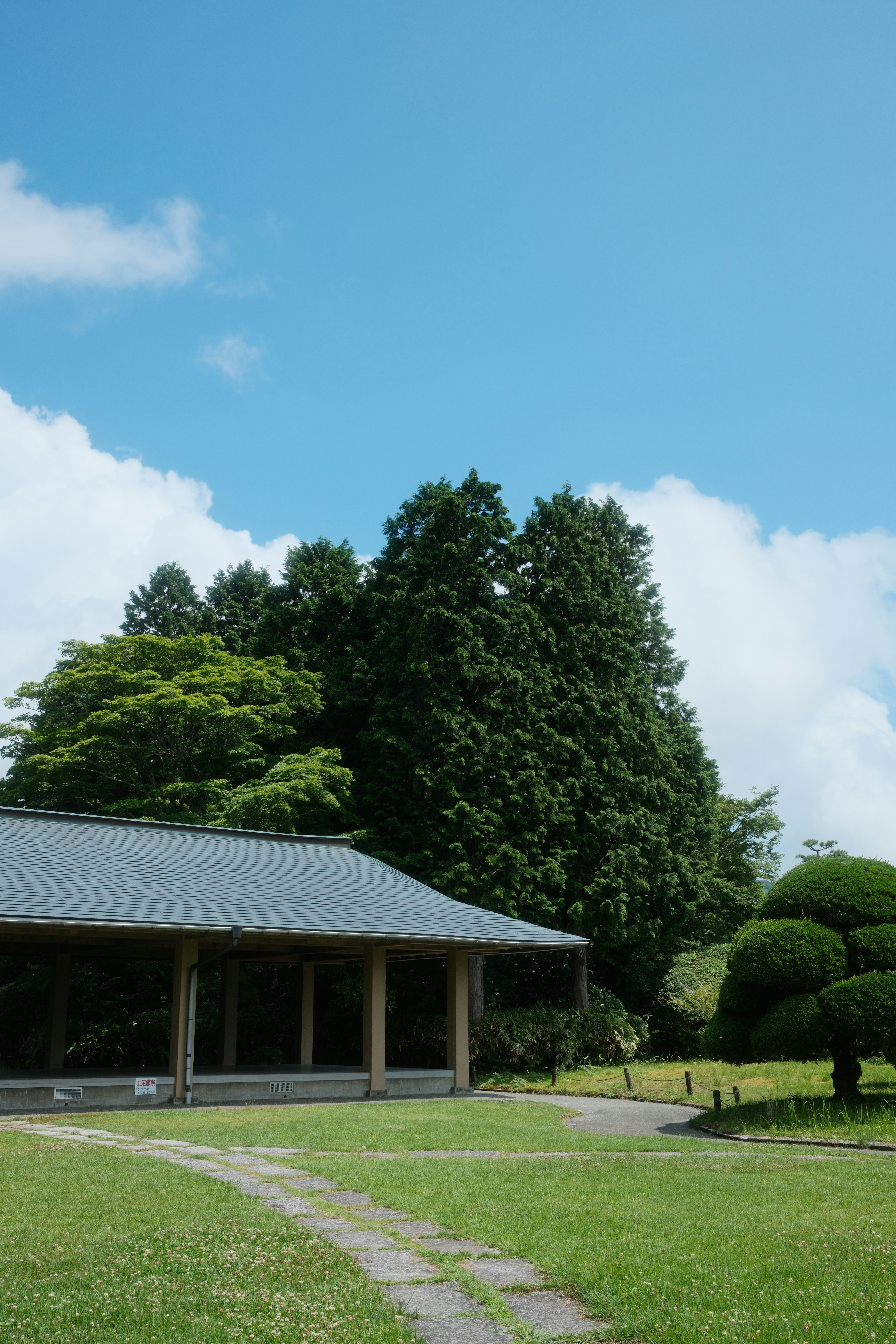 Serenity in Green: A Garden Retreat
