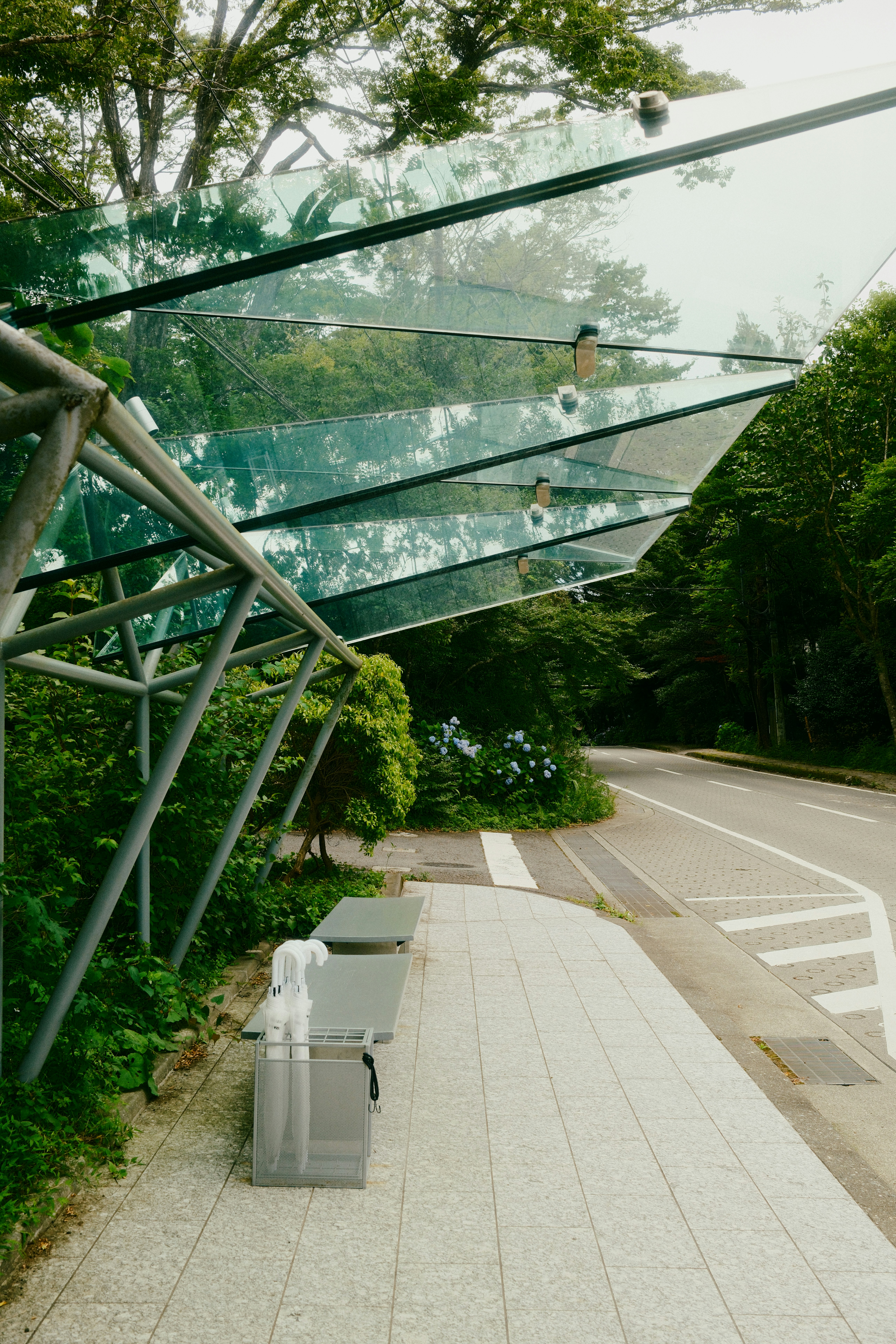 Architectural Harmony: Nature Meets Modern Design