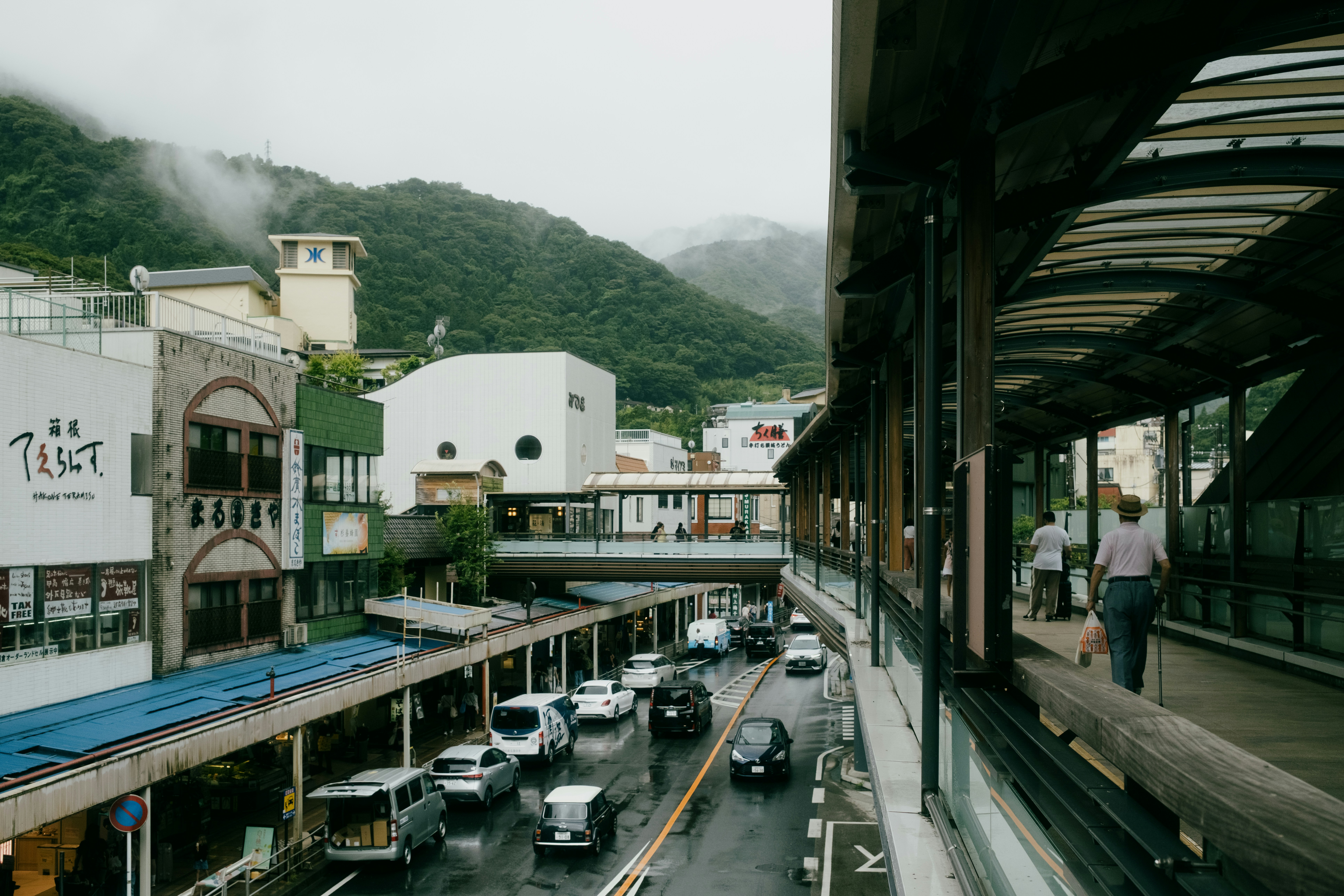 Urban Harmony: The Intersection of Nature and City Life