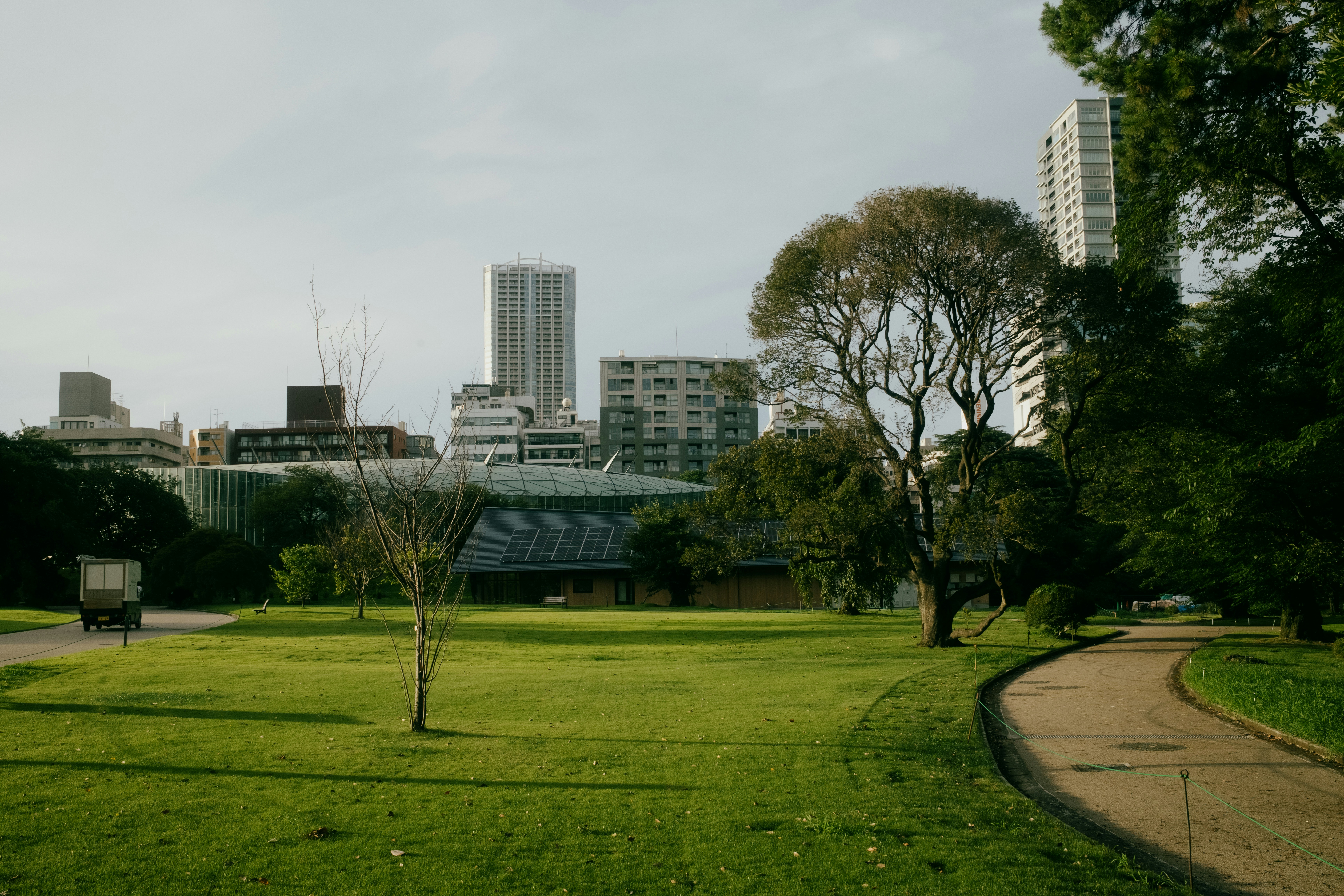 Urban Serenity: Nature Meets Architecture