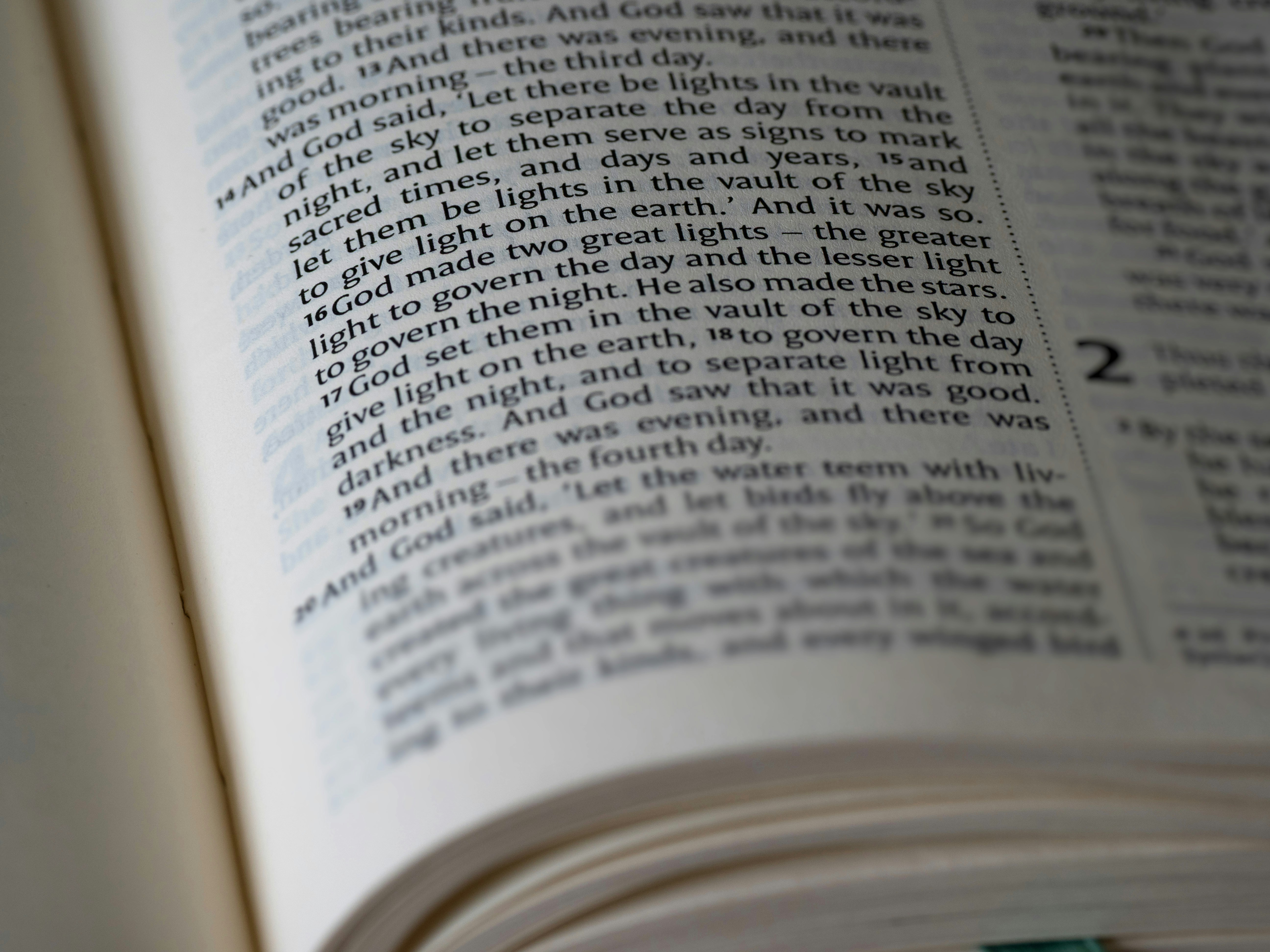 Illuminated Verses: A Journey Through Text