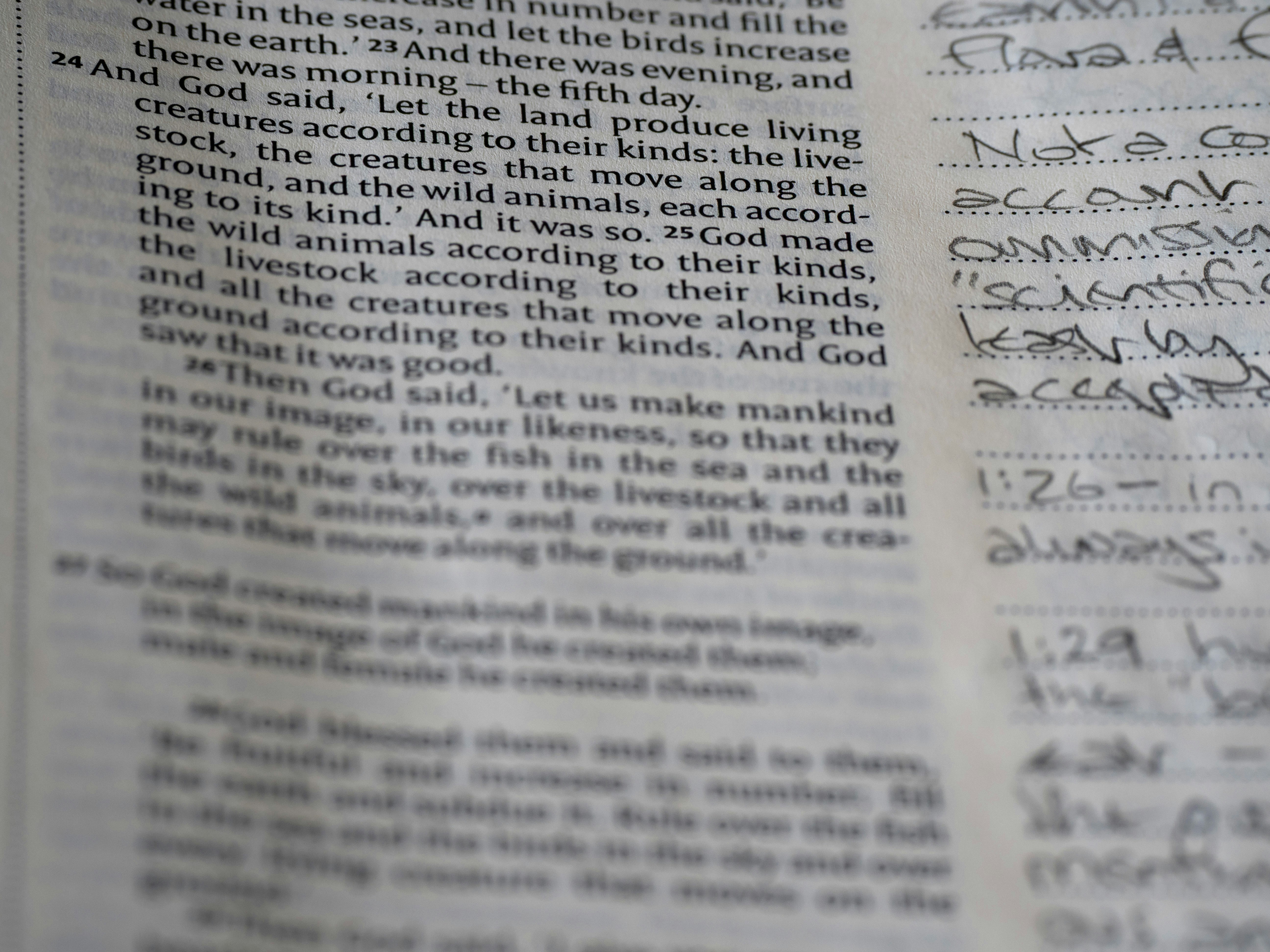 Scripture from the bible, with handwritten notes. photo – Free Text ...