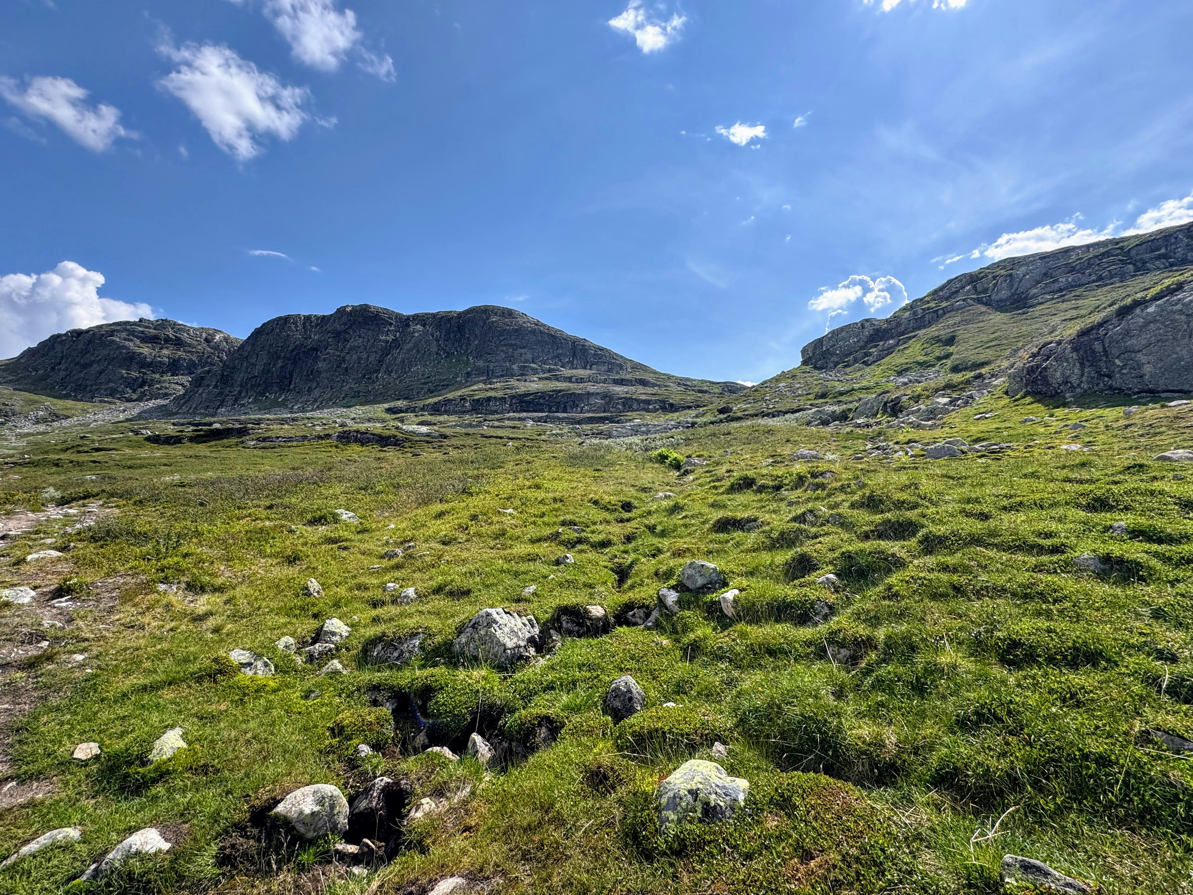 Grassy terrain with mountains under a sunny sky.