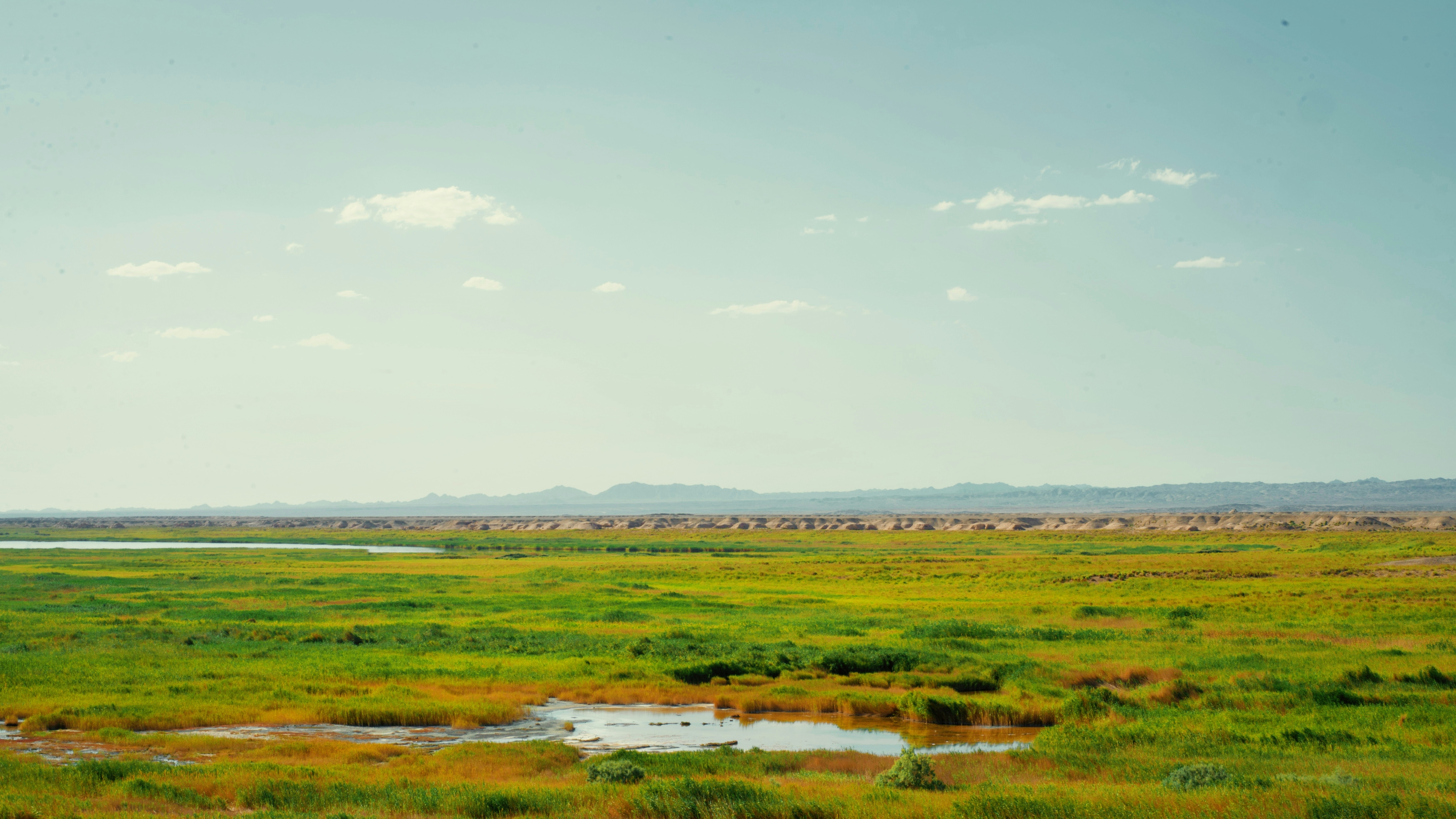 Vast green wetlands stretch under a clear sky, dotted with tranquil pools reflecting the serene landscape.