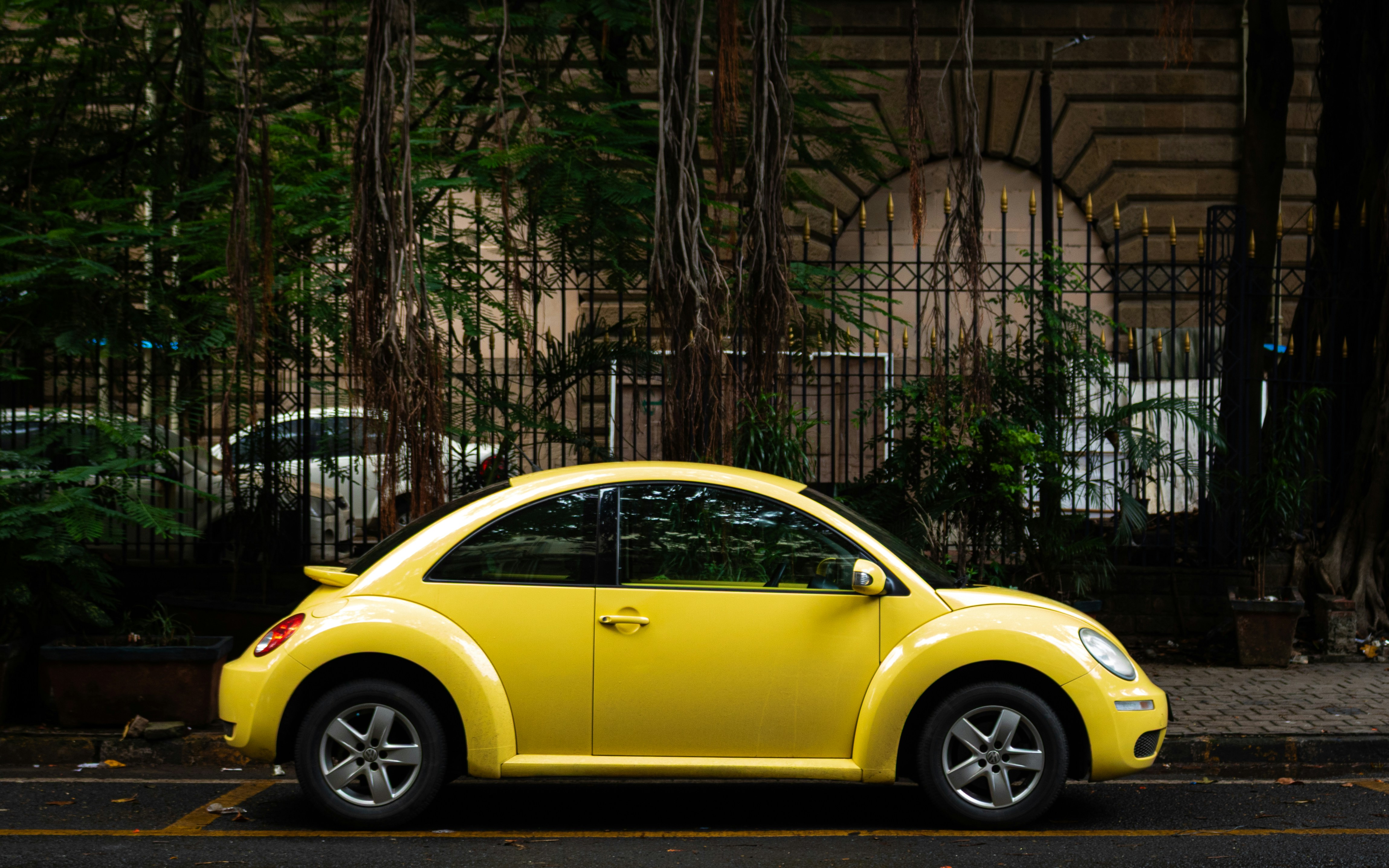 Neon Yellow Beetle at Dappled Light in a Quiet City Street