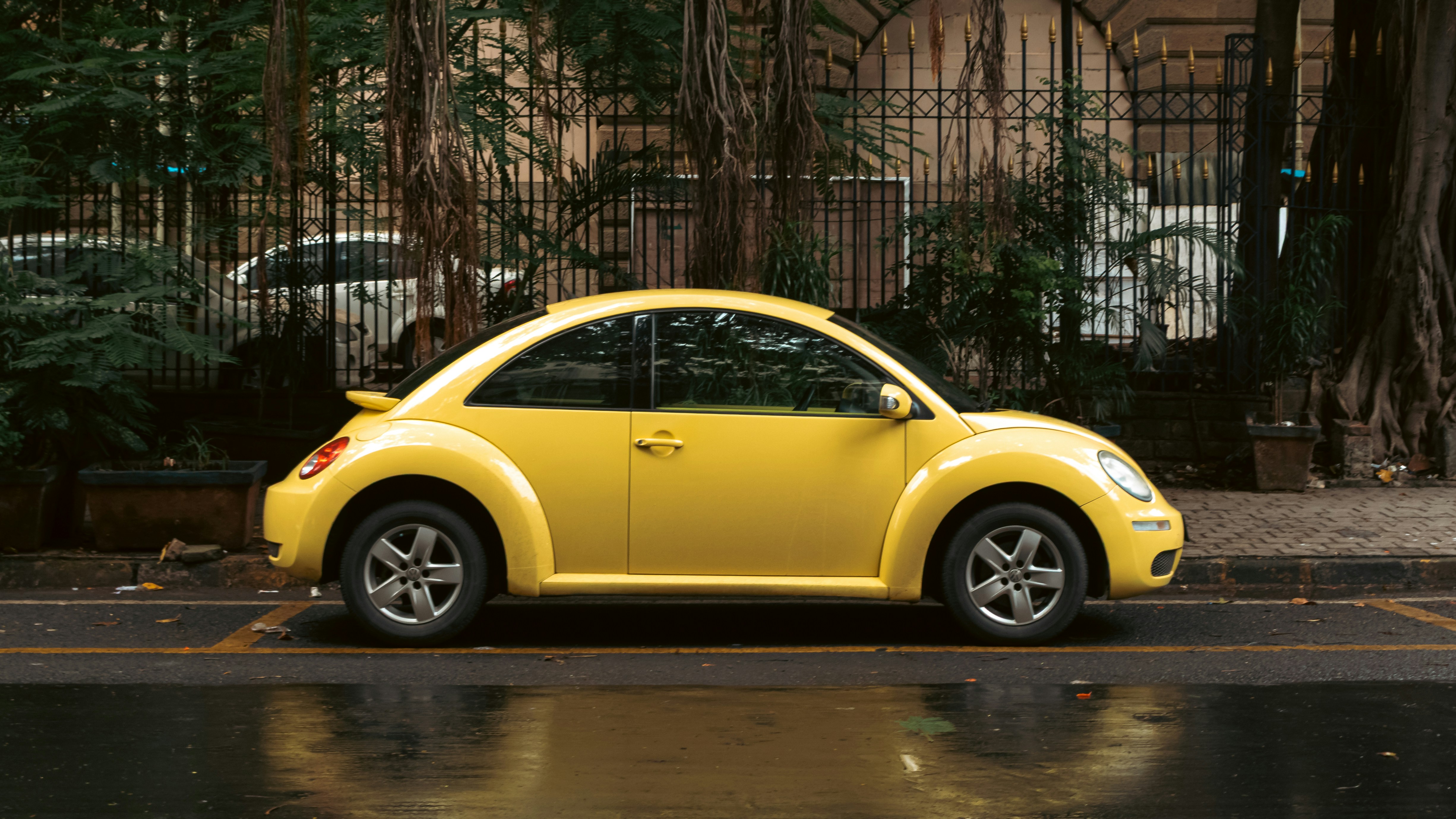 Yellow Beetle on a Rain-Wet City Street: Reflections and Urban Quiet