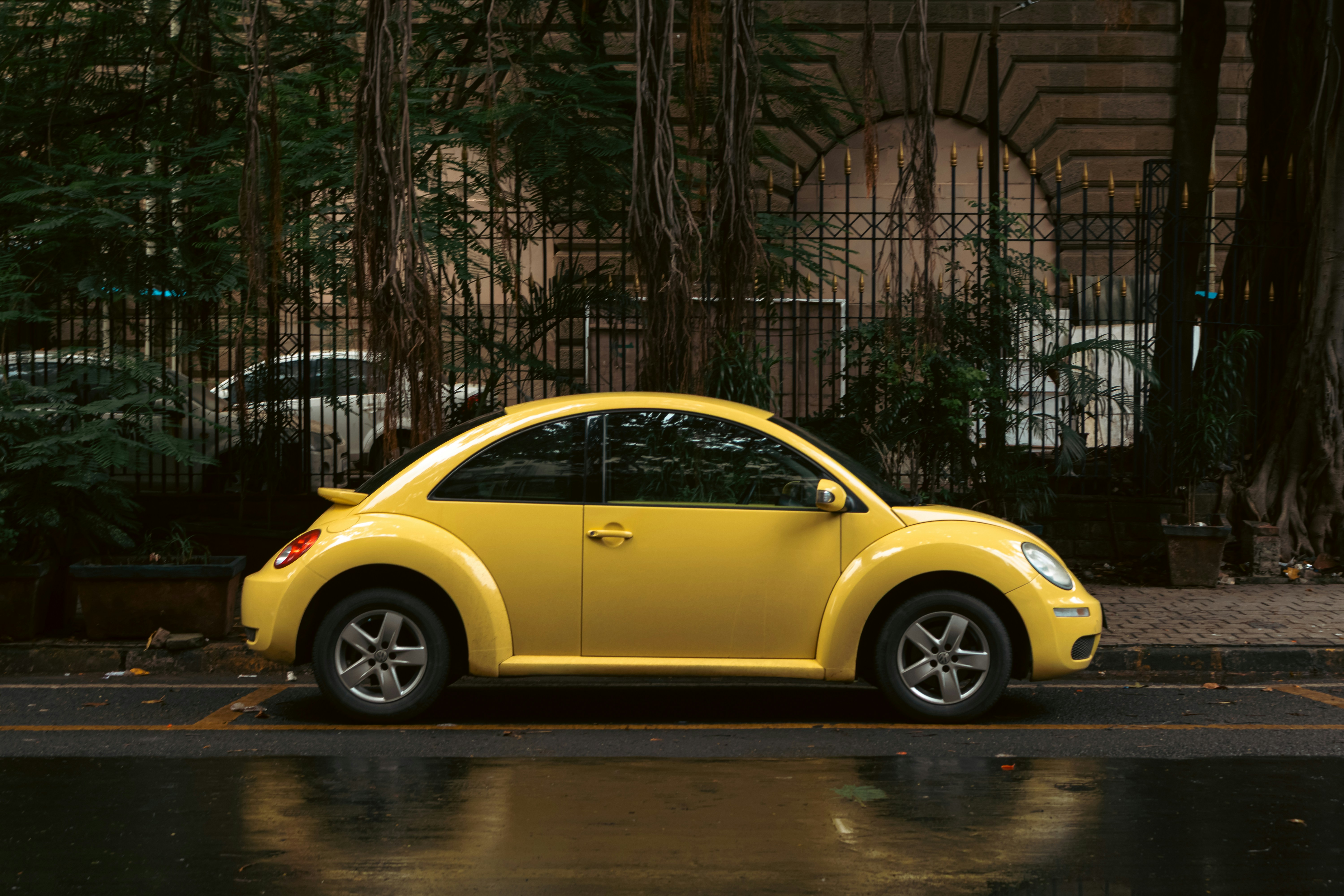 Rain-Slick Yellow Beetle on a Quiet City Street