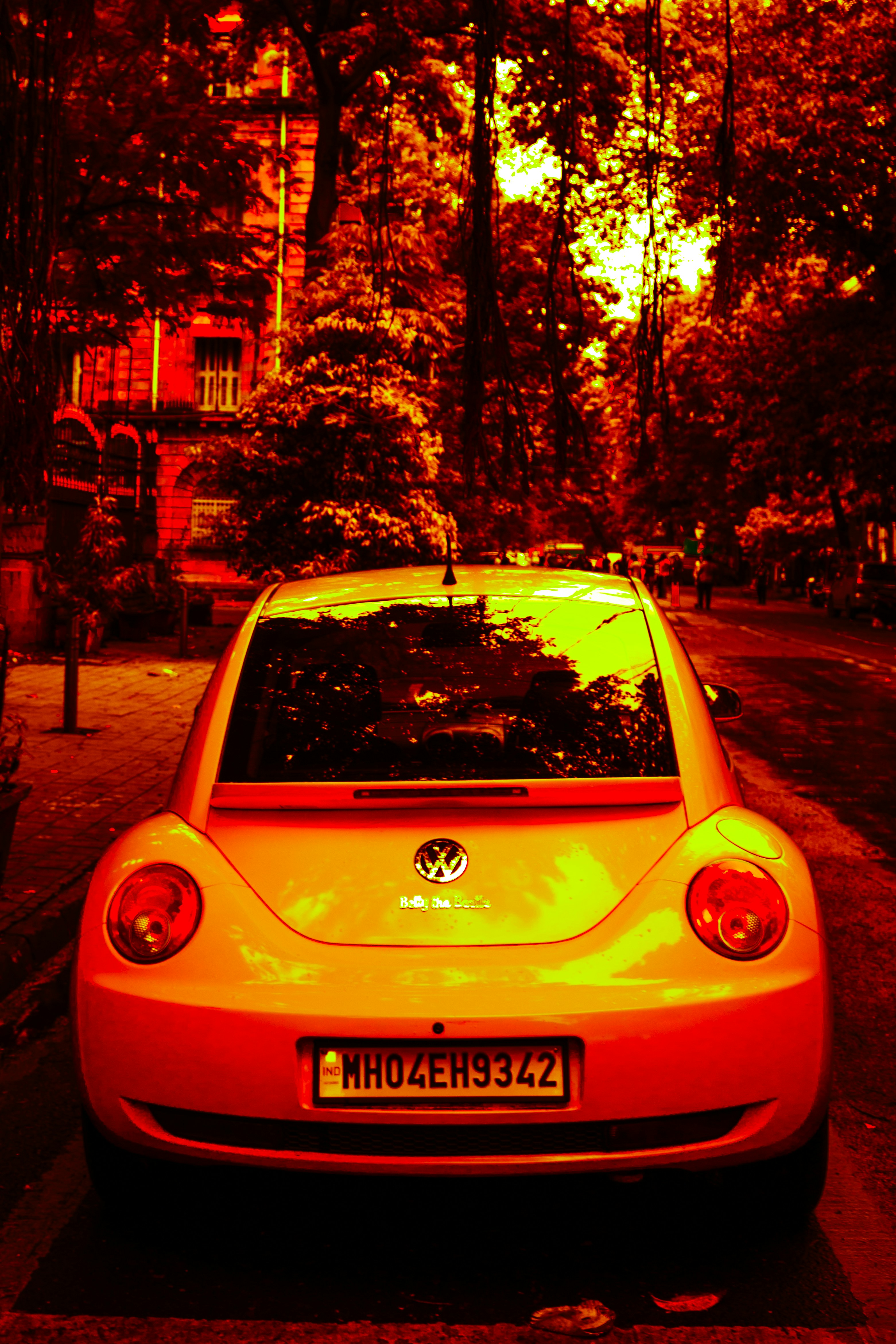Sunset Glow on a Classic Bug