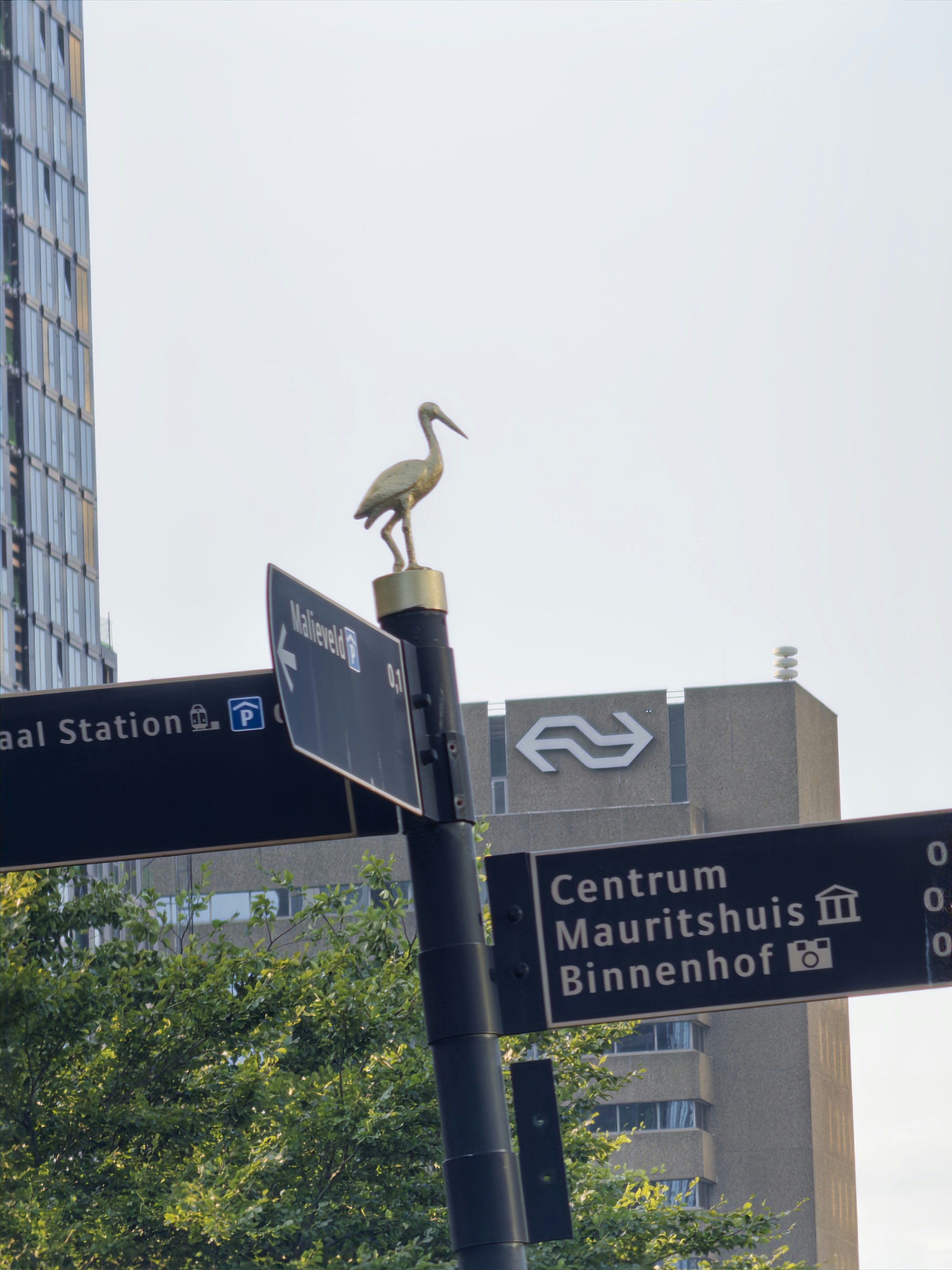 Urban Sentinel: A Stork's Perspective
