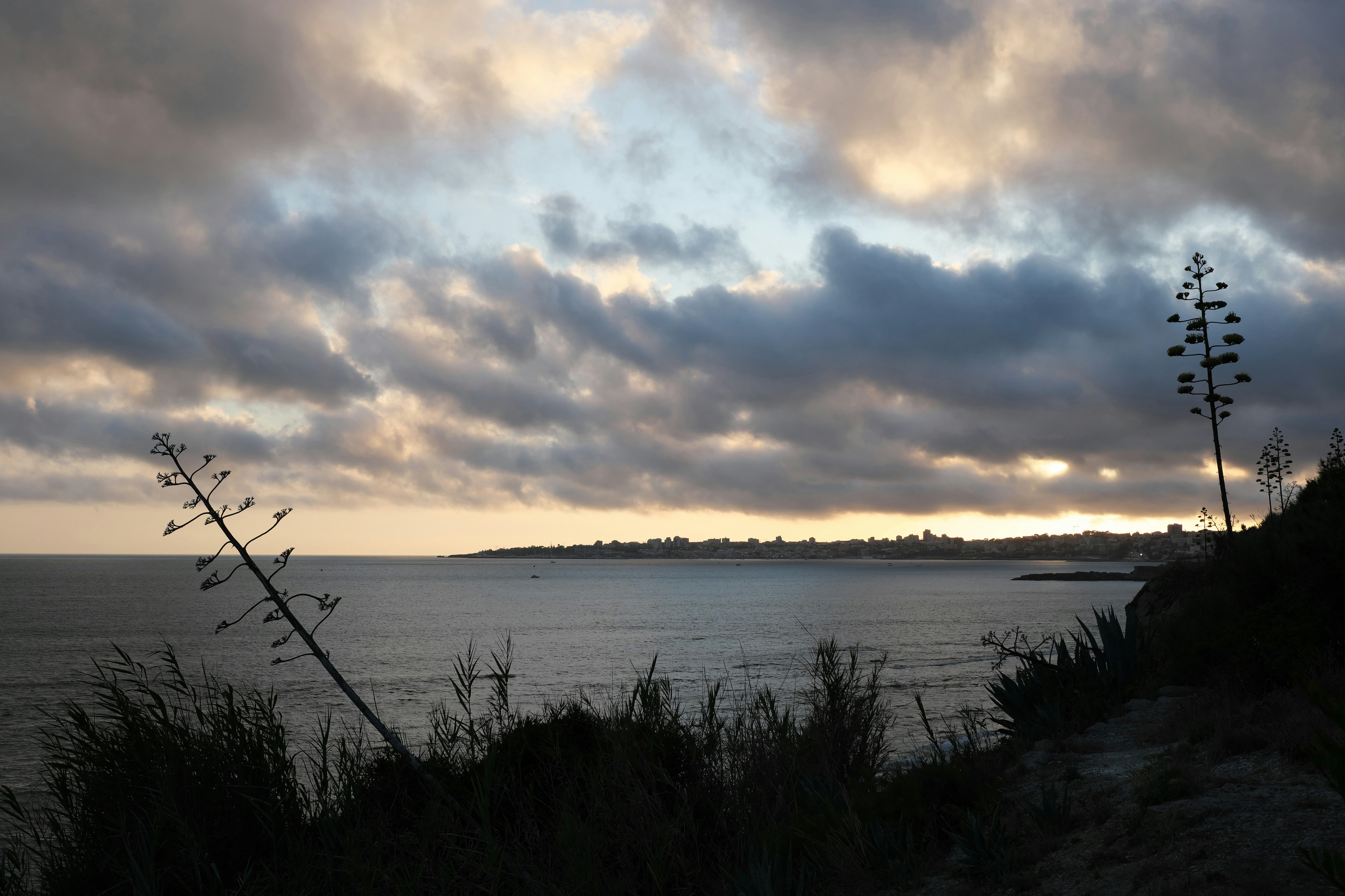 Whispers of the Ocean at Dusk