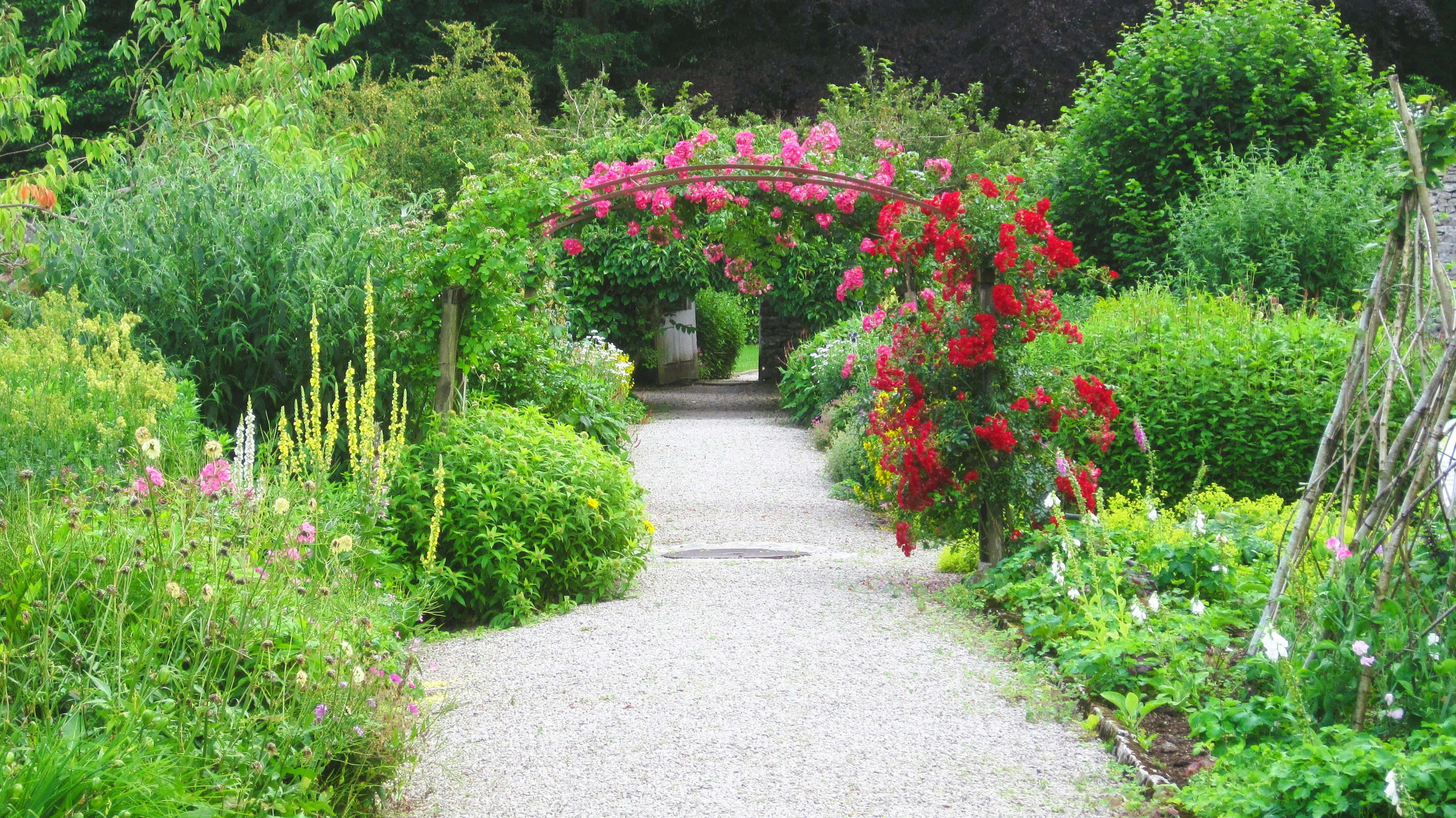 taken july 2nd 2025 | A garden path surrounded by lush greenery and flowers.