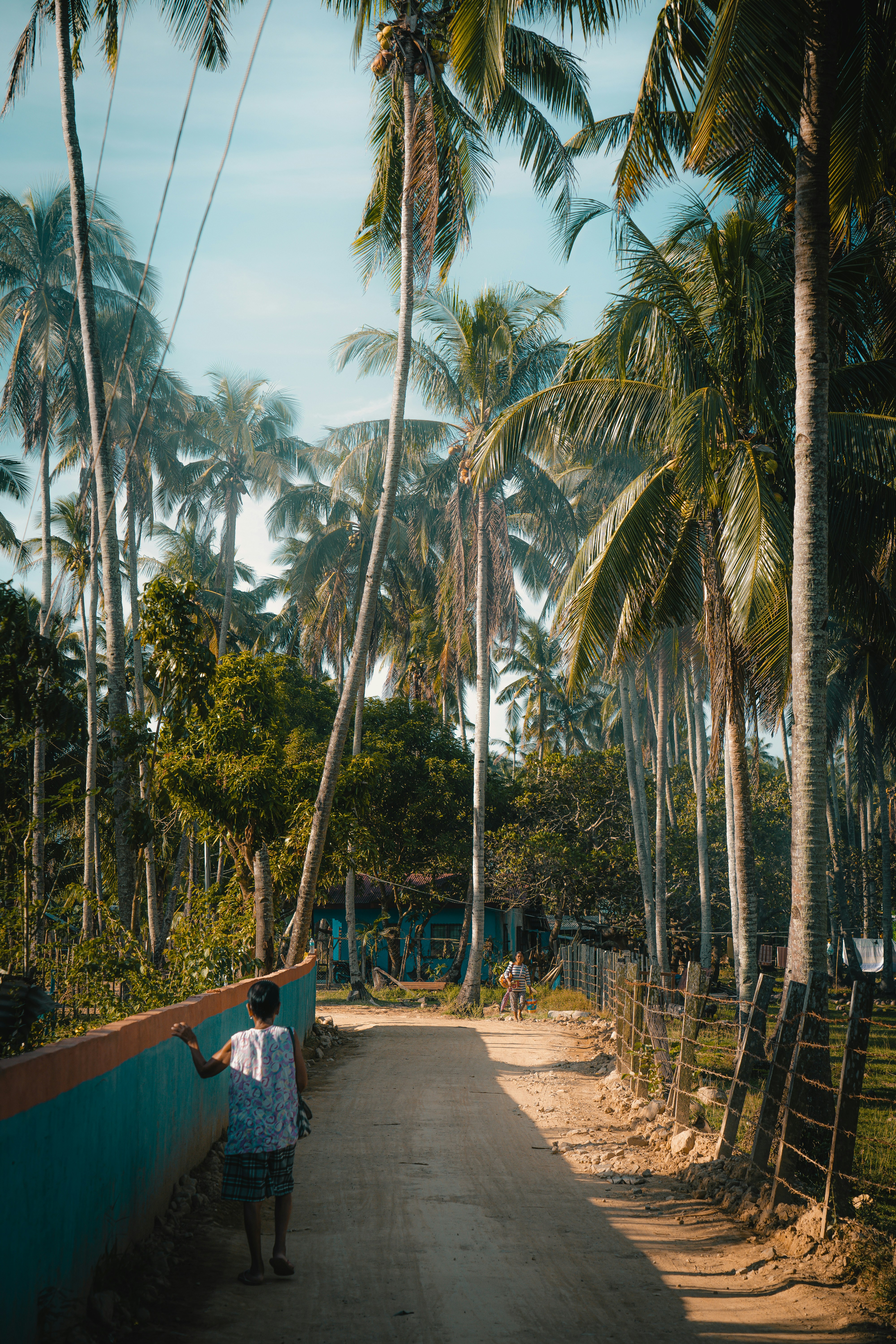 Palm trees line a road on a sunny day.