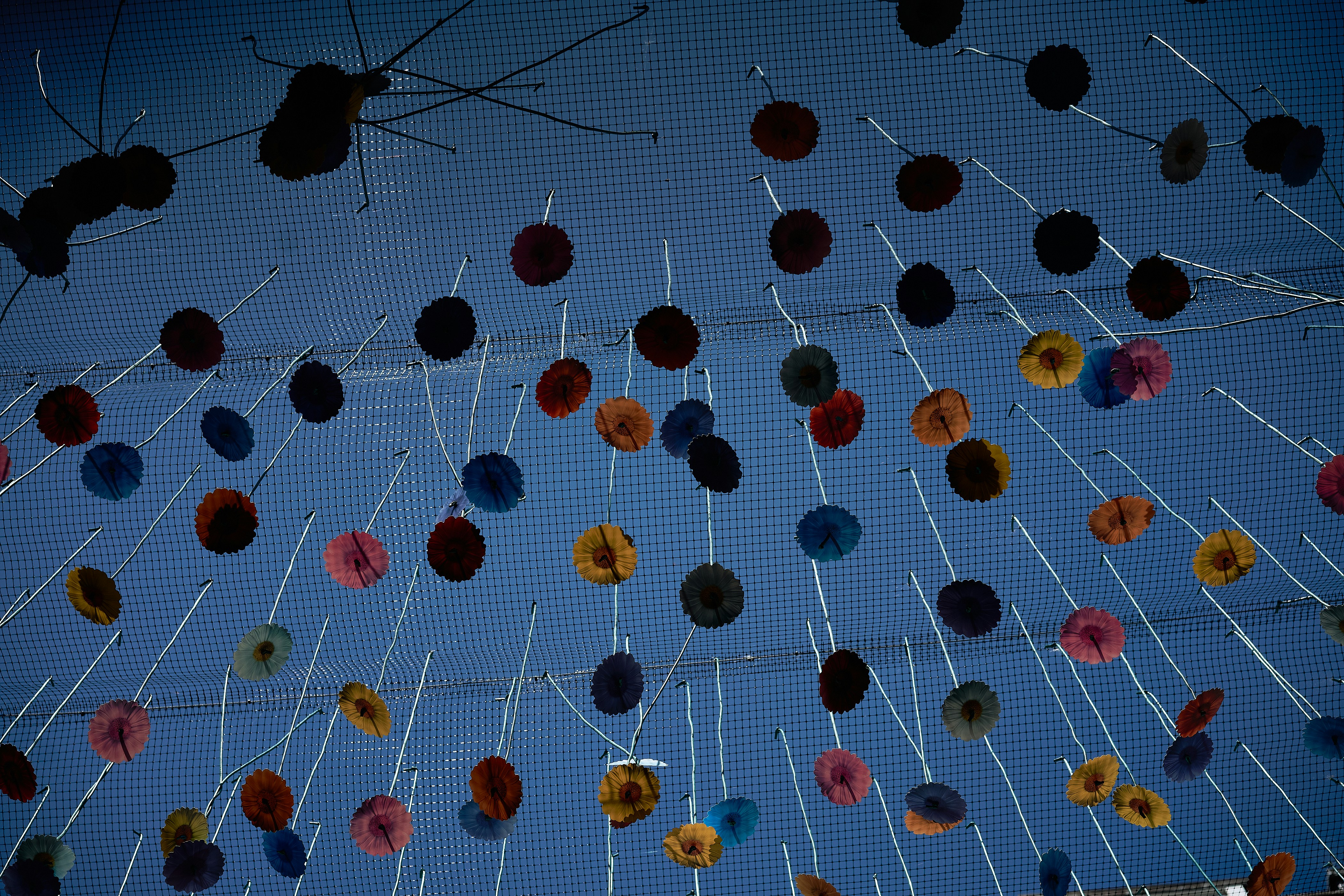 A vibrant display of hanging flowers against a bright blue sky, creating a playful atmosphere. The arrangement showcases various colors and shapes, enhancing the visual appeal.