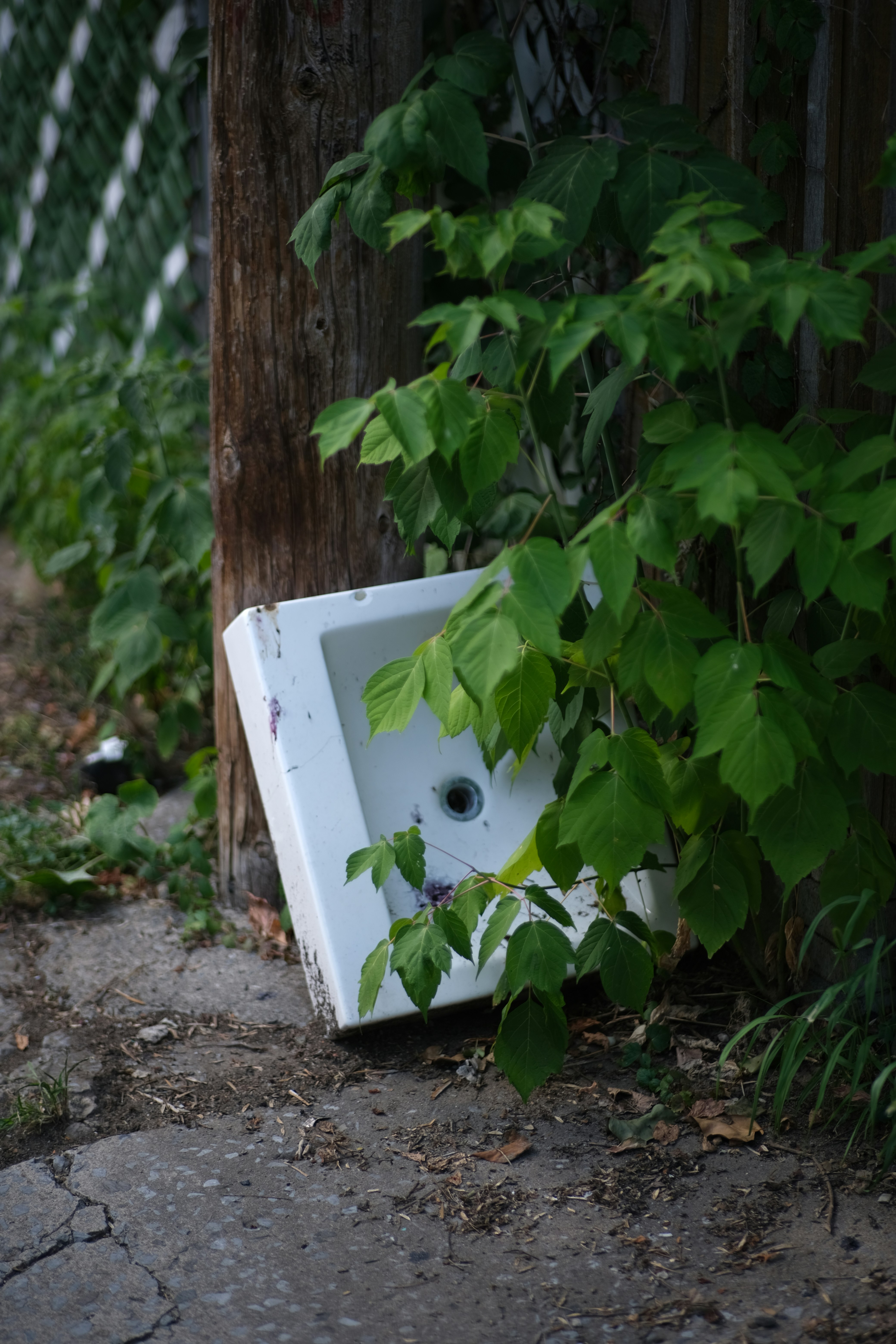 An old sink leans against a wooden post.