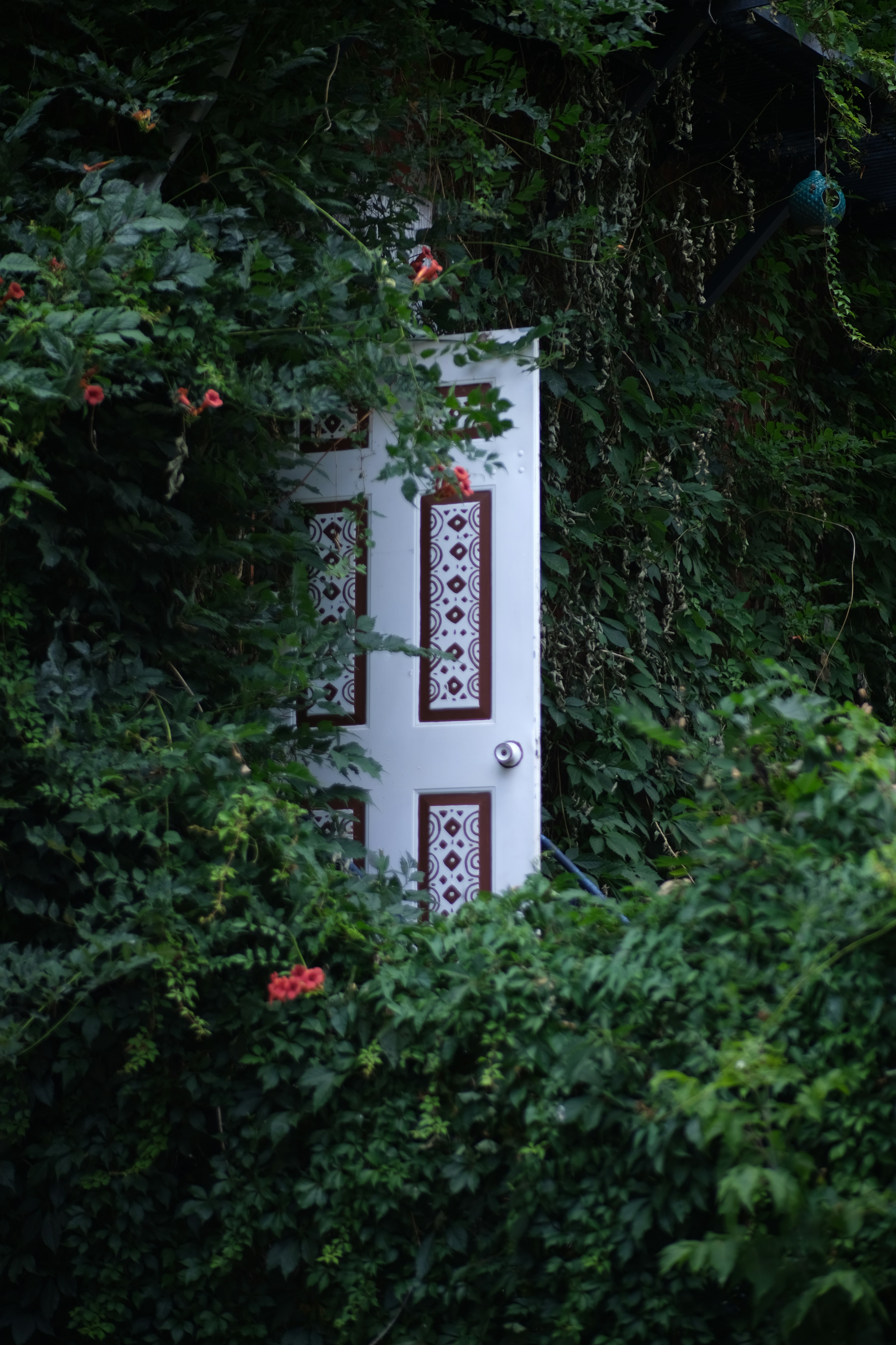 A door framed by lush greenery.