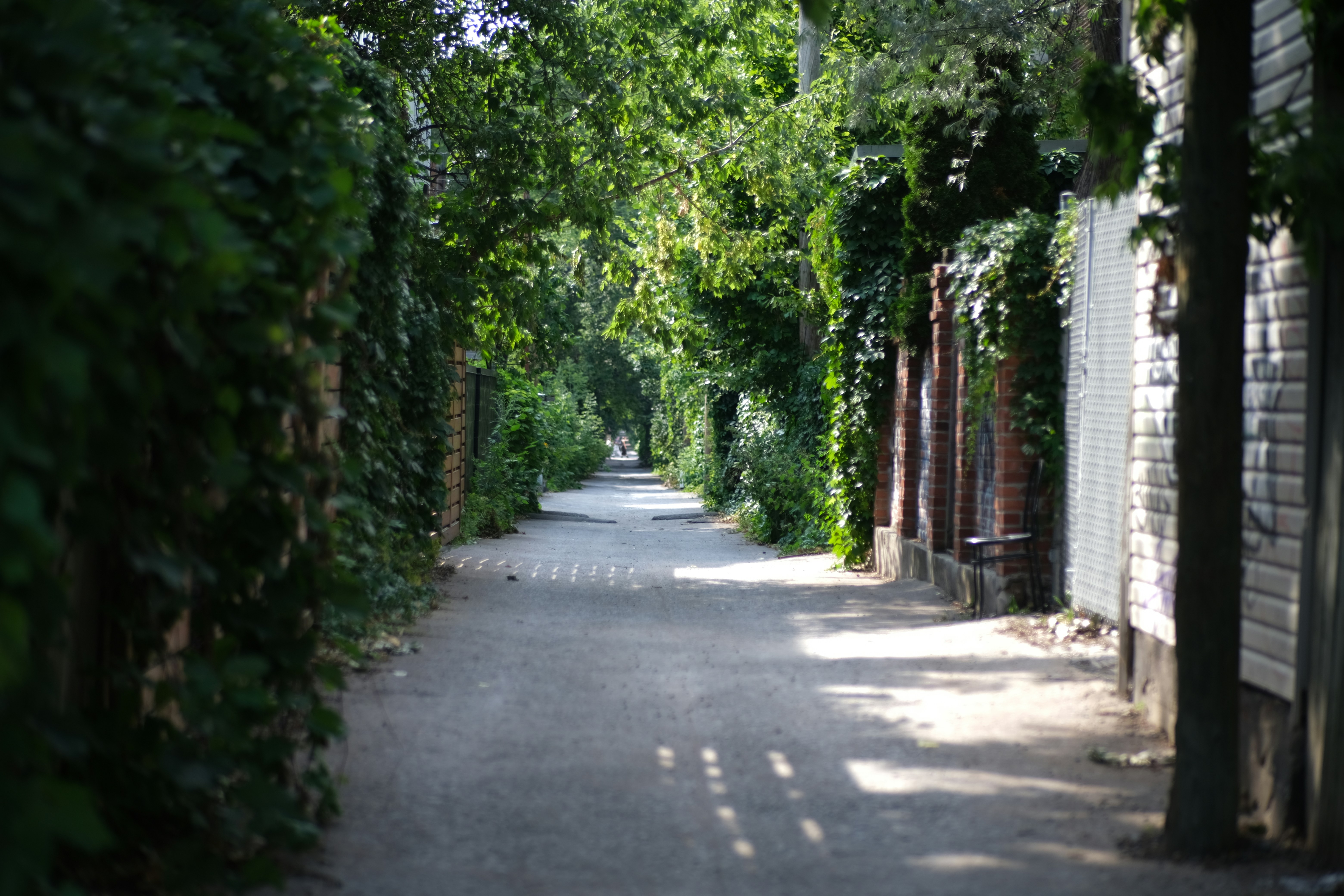 A shaded alleyway is framed by greenery.