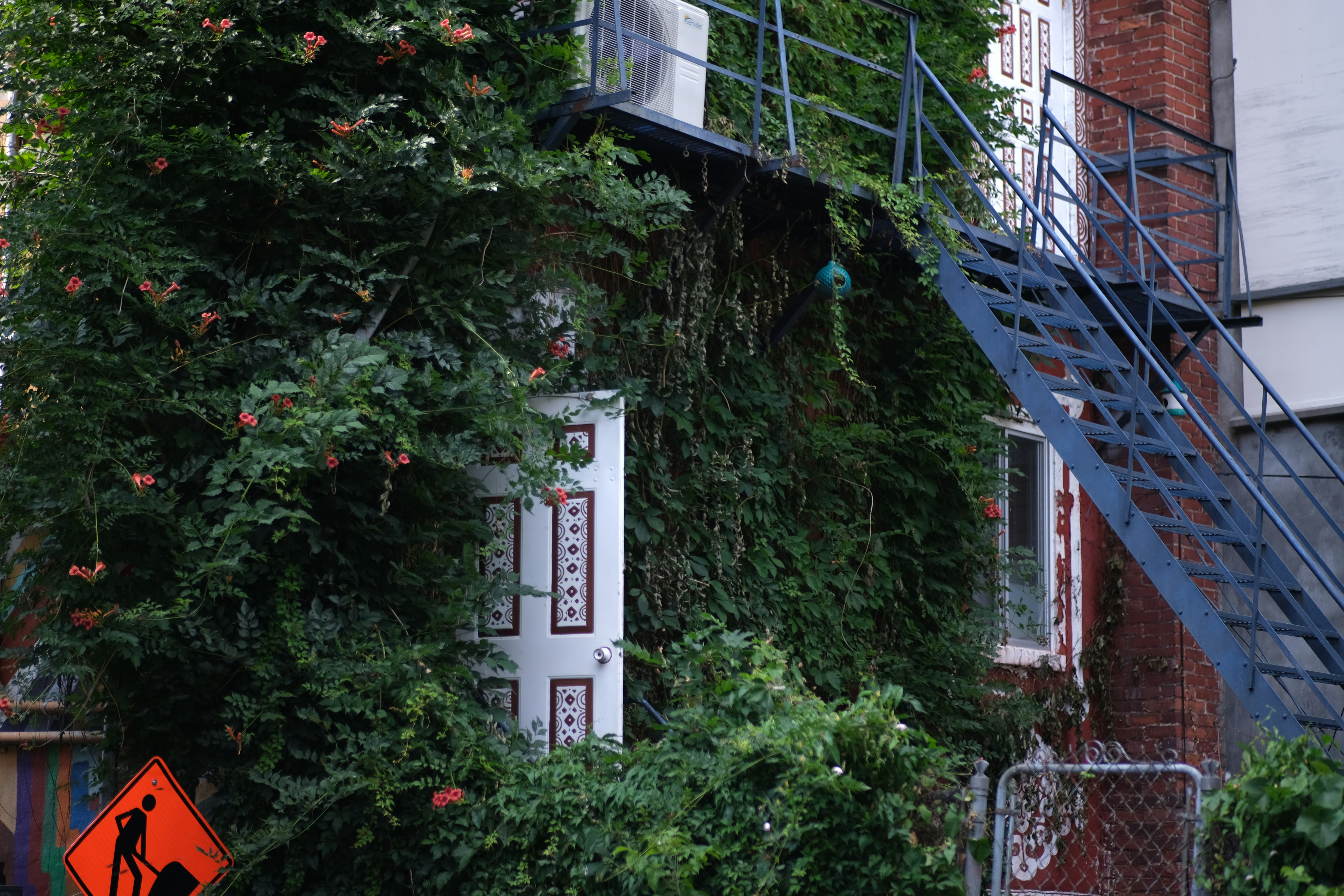 Ivy-Curtained Facade: Where Green Threads Meet Blue Steel
