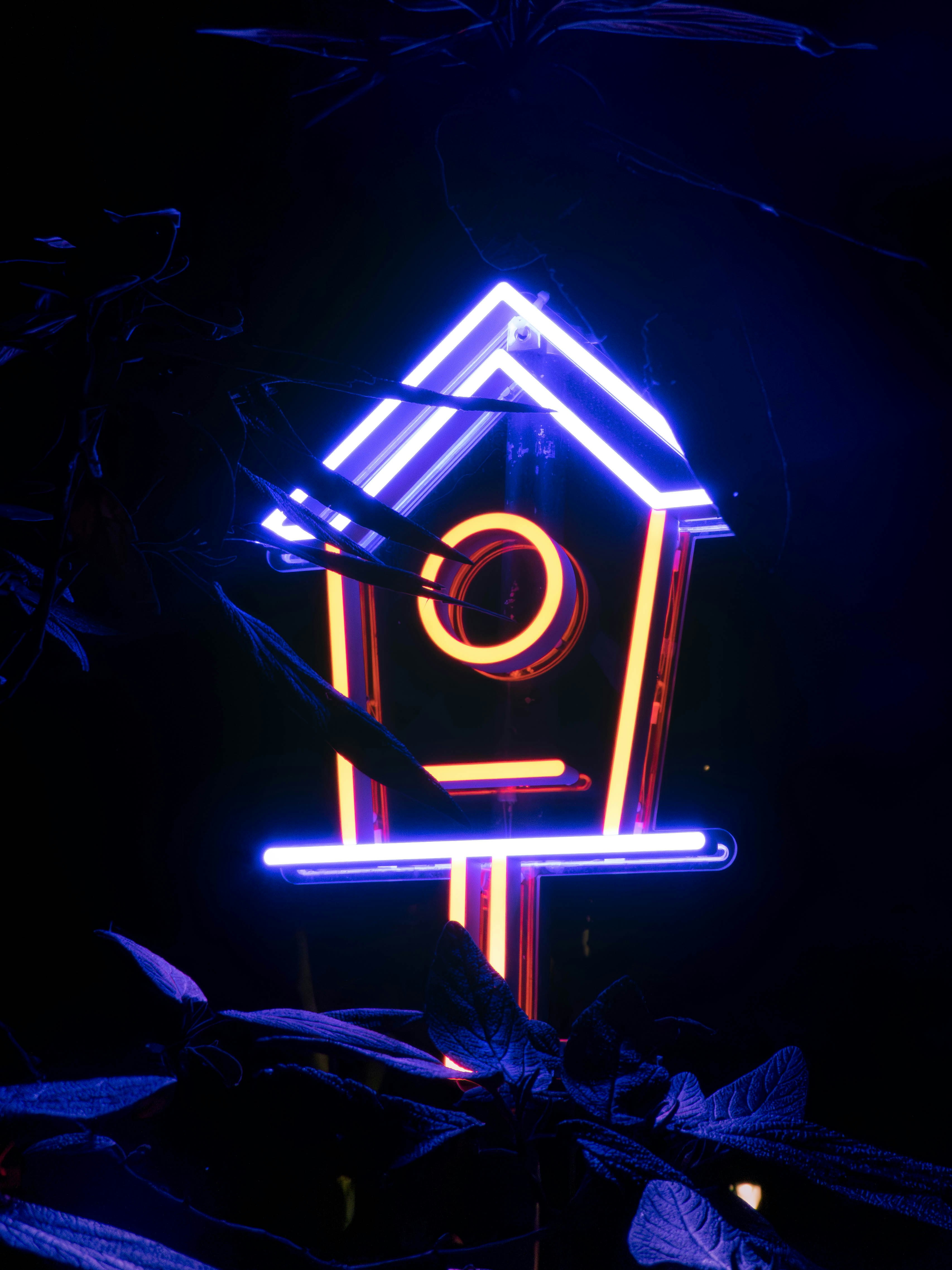 A neon birdhouse glows brightly in the dark. photo – Free Australia ...