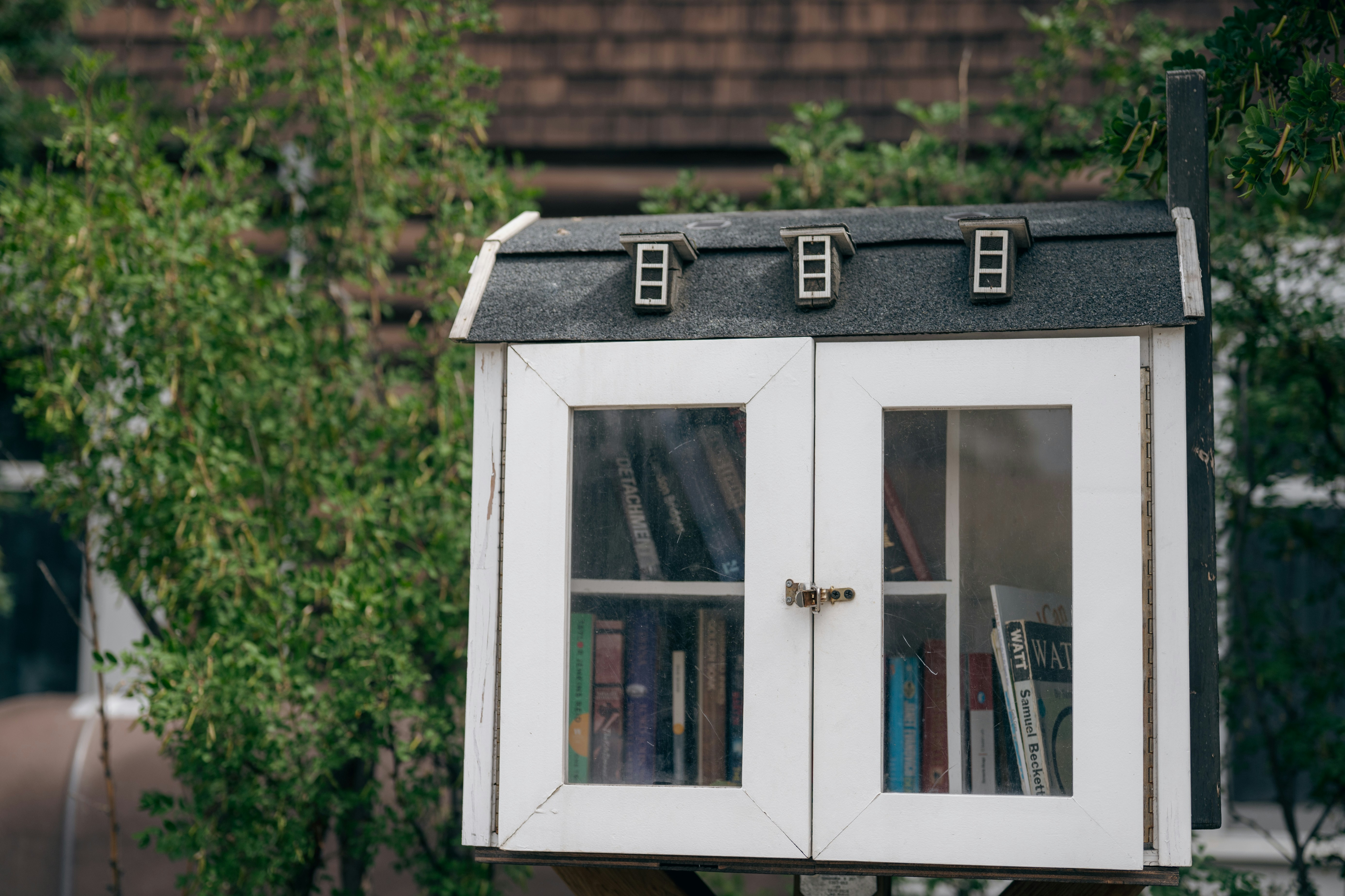 This photo captures a cozy community book exchange in Whitehorse, Yukon.