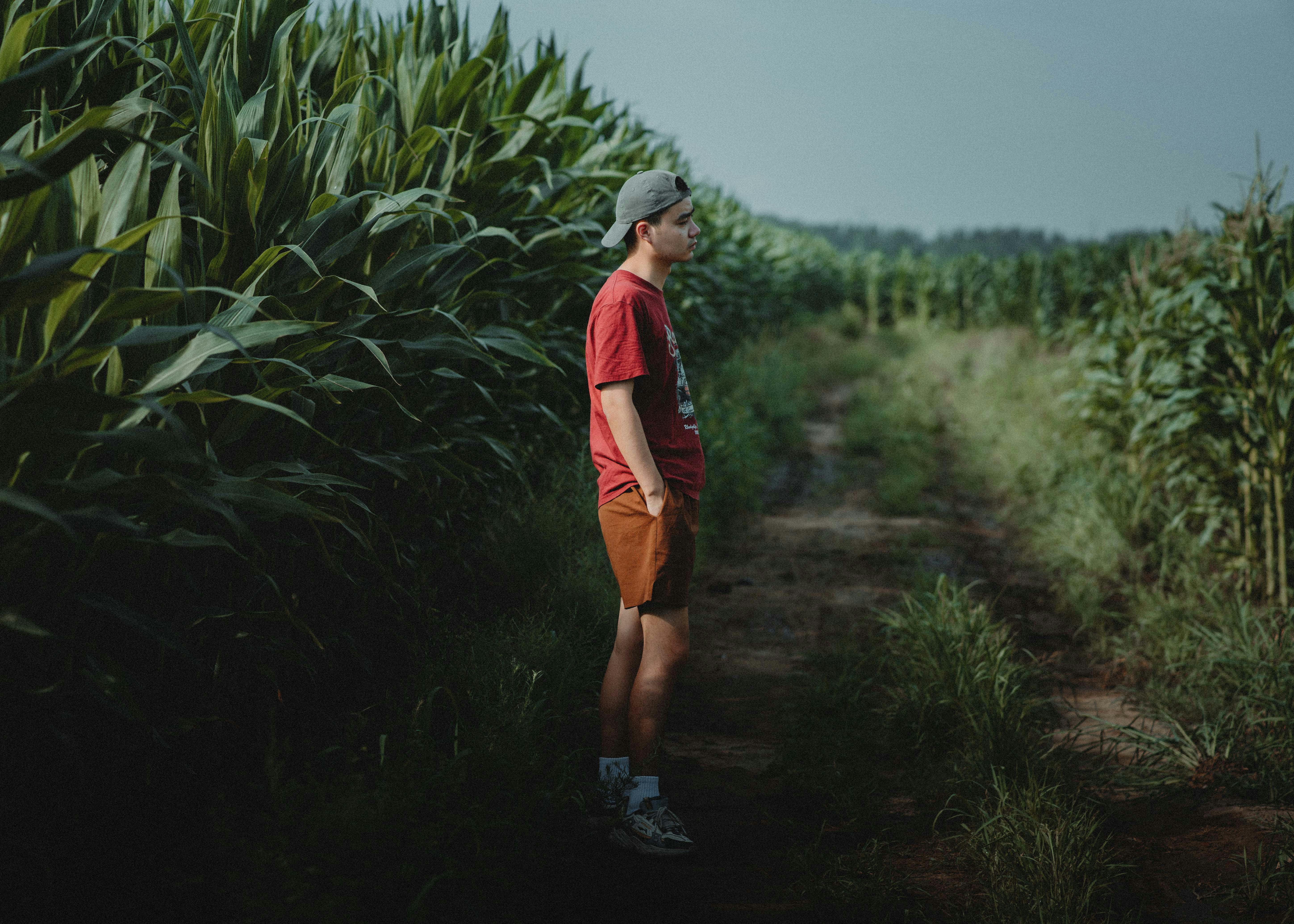 A young man stands contemplatively in a narrow path flanked by towering cornfields, embodying a moment of introspection.