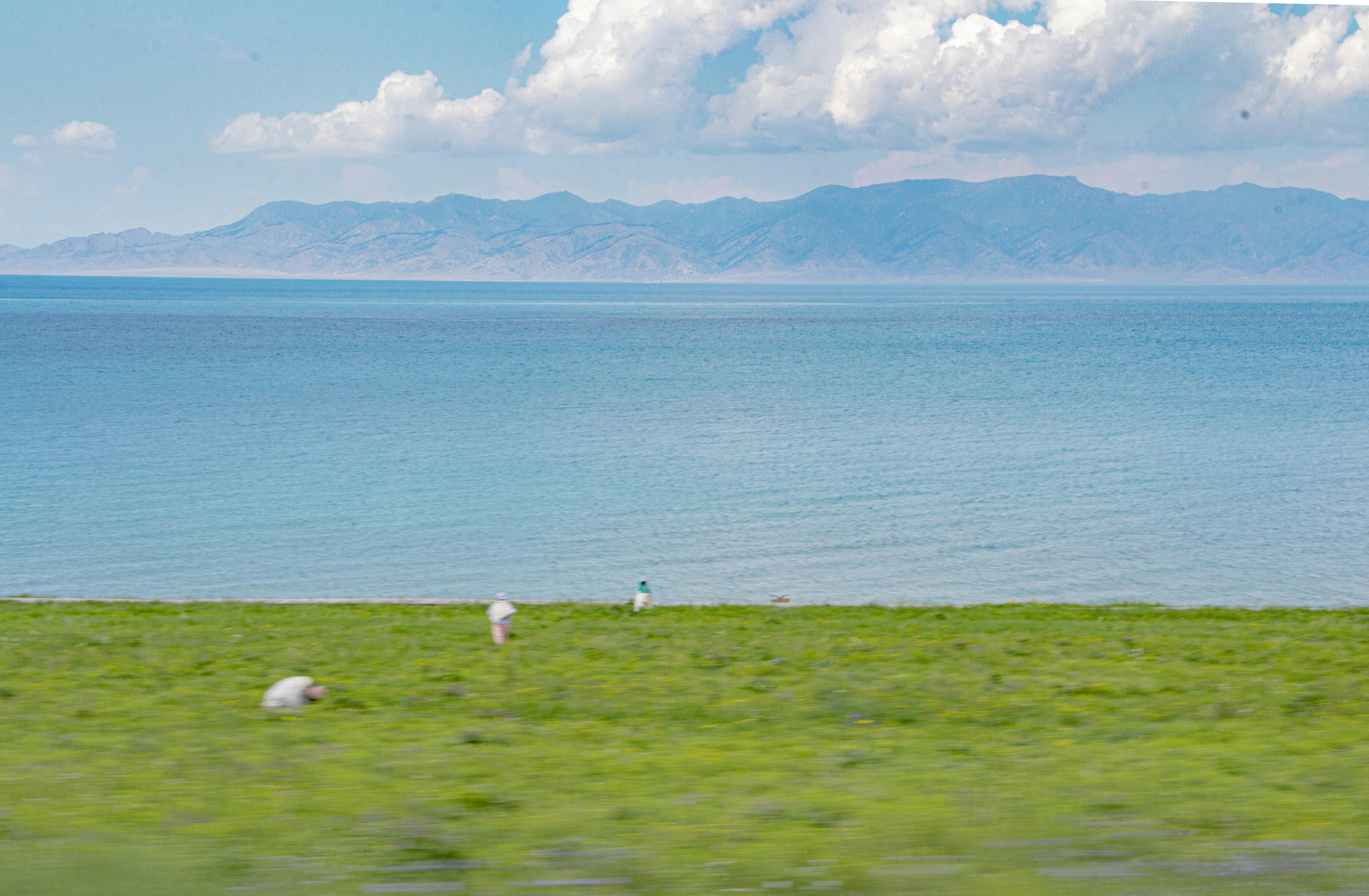 The vast blue sea meets a green grassy field.