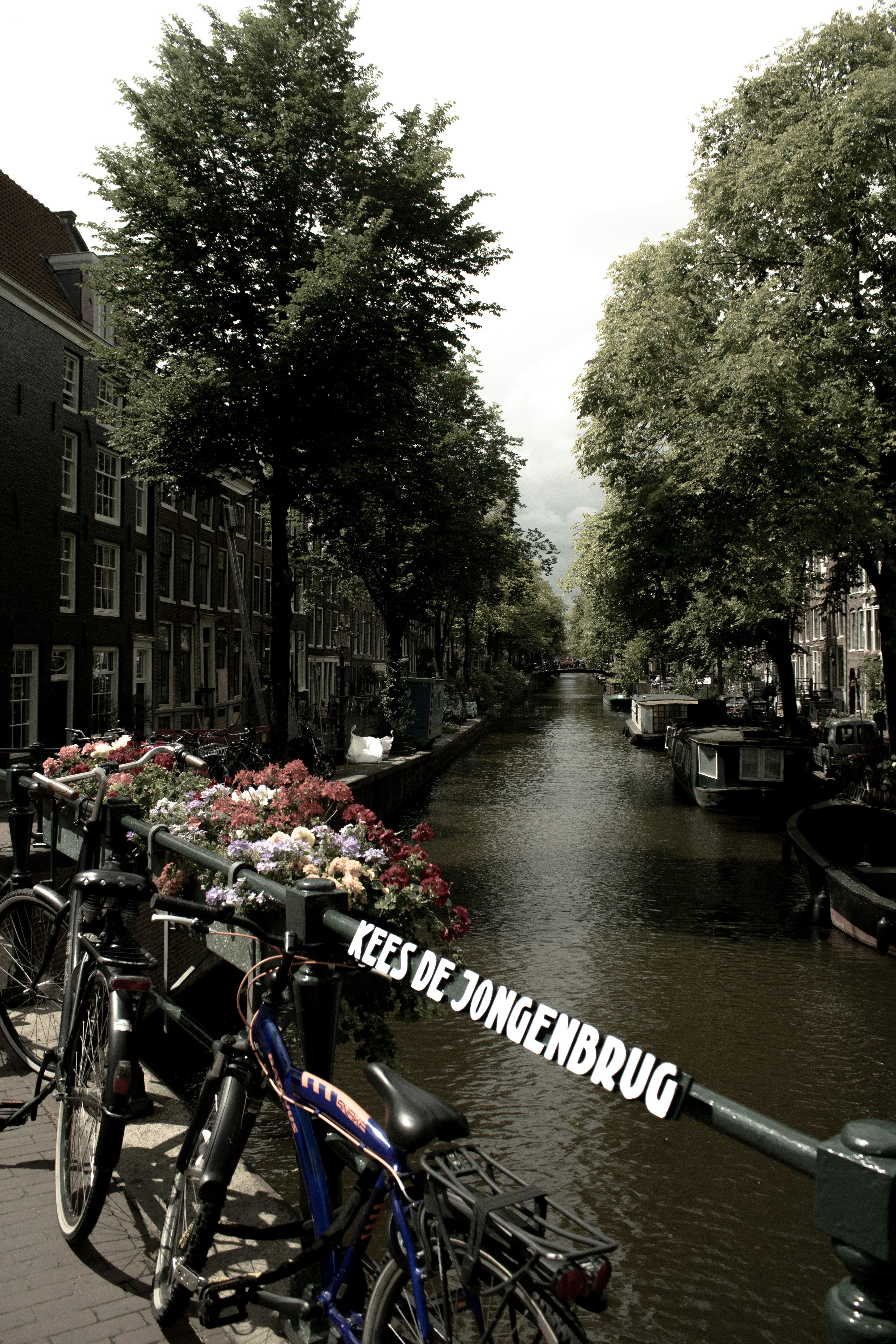 Canal Reflections: A Serene Stroll Through Amsterdam