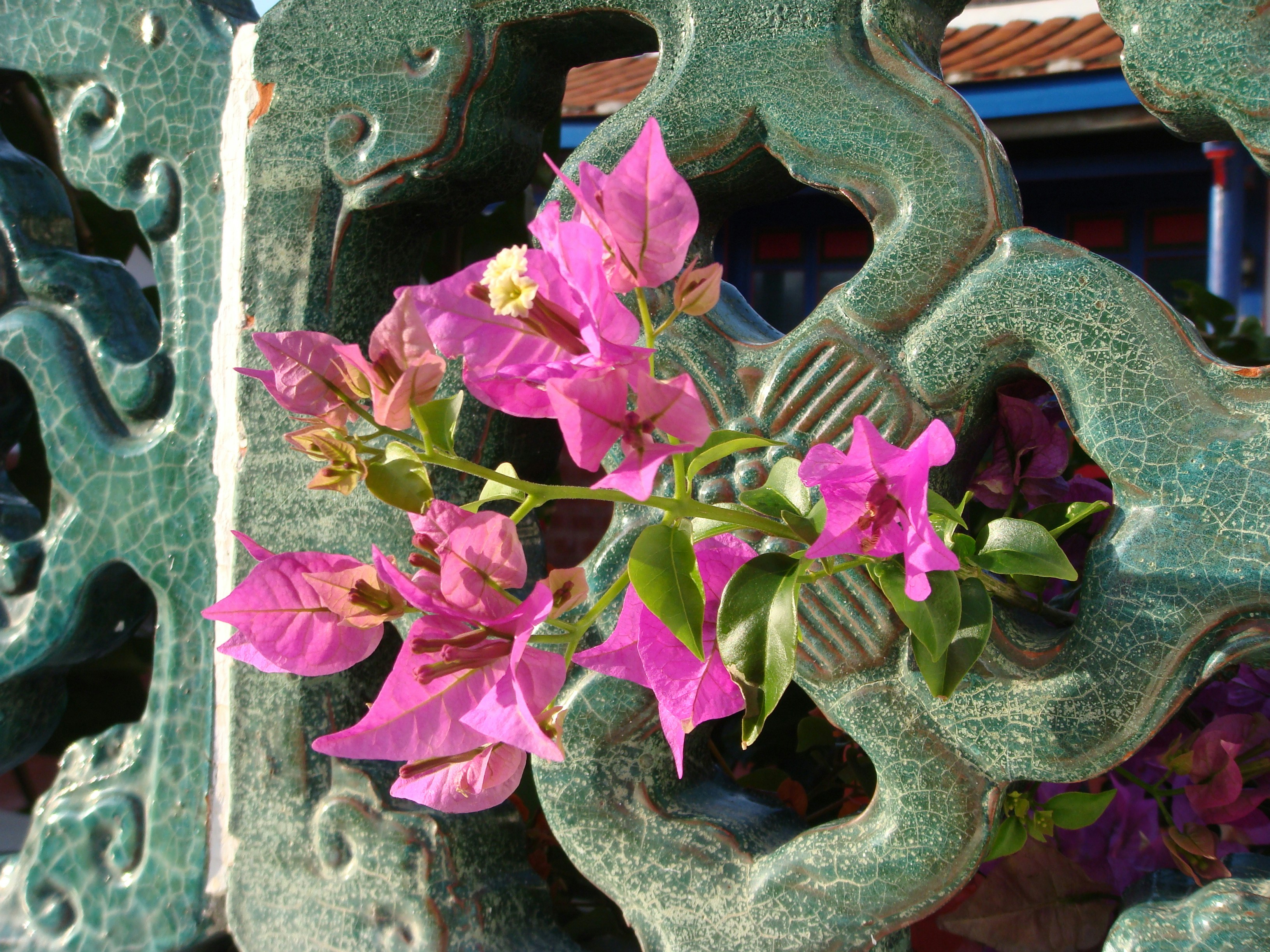 Pink flowers grow through a decorative green fence.