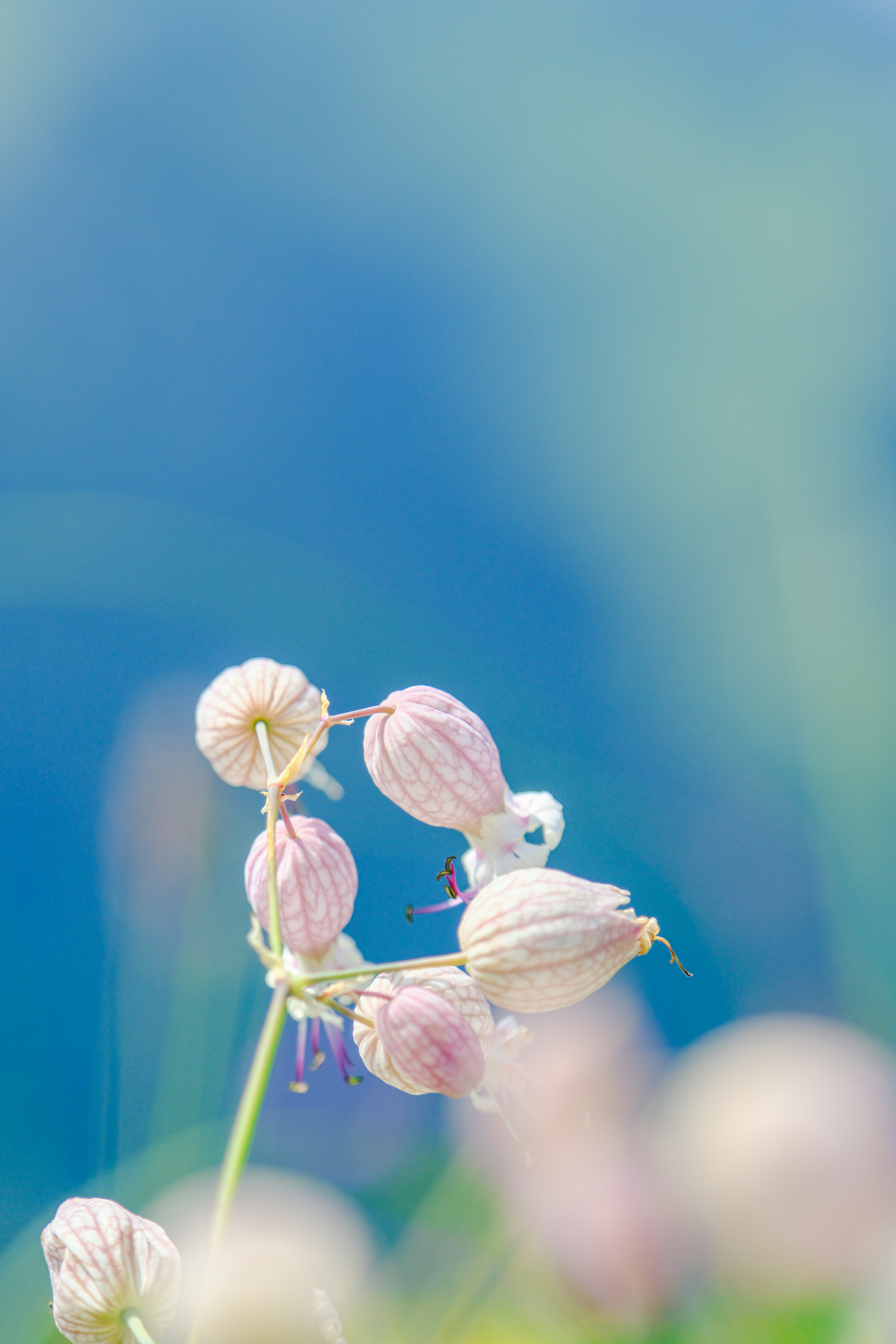 Photo by Sarah Sheedy with Fujifilm X-T5