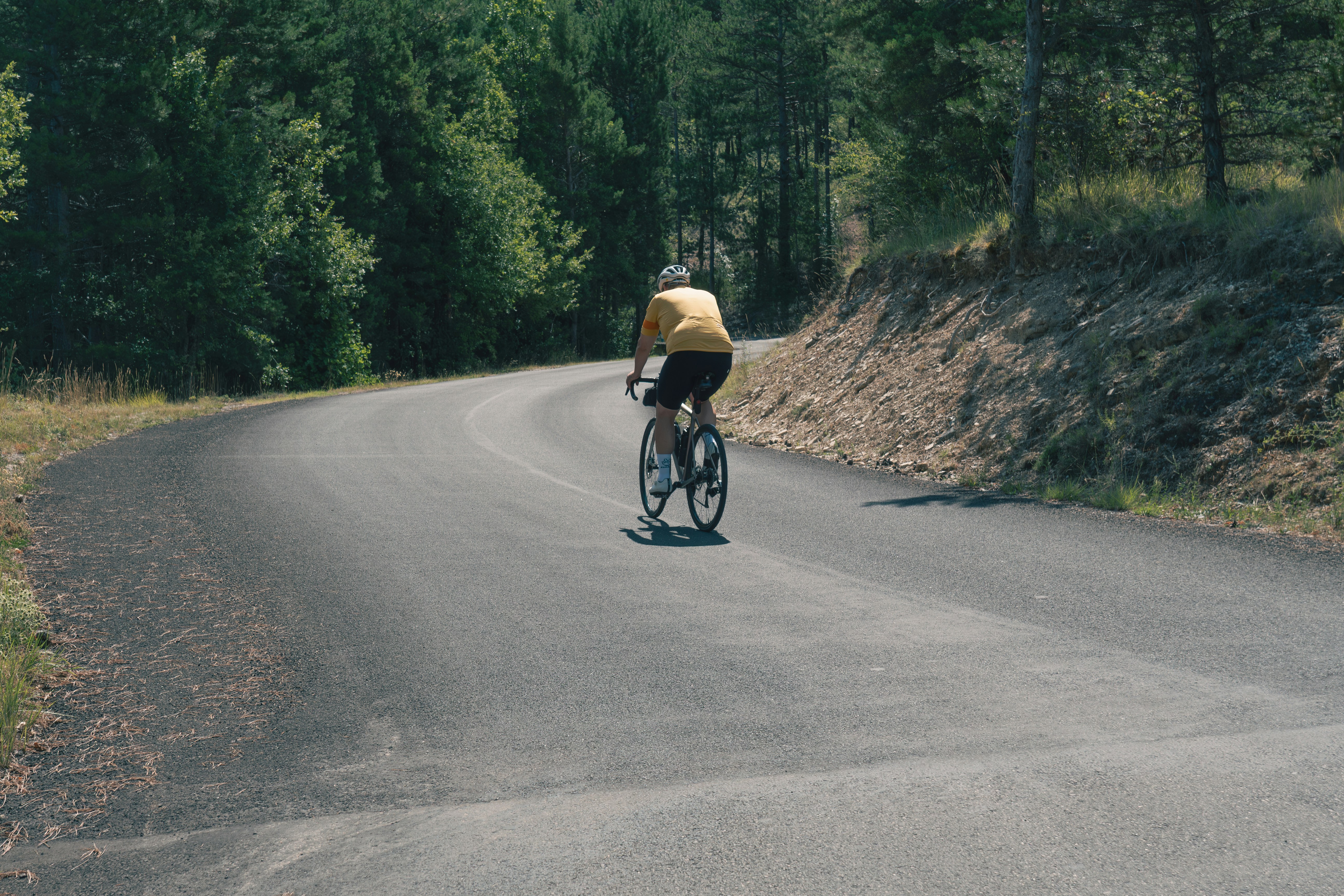 A cyclist navigates a winding road surrounded by lush greenery, embodying the spirit of adventure and freedom.