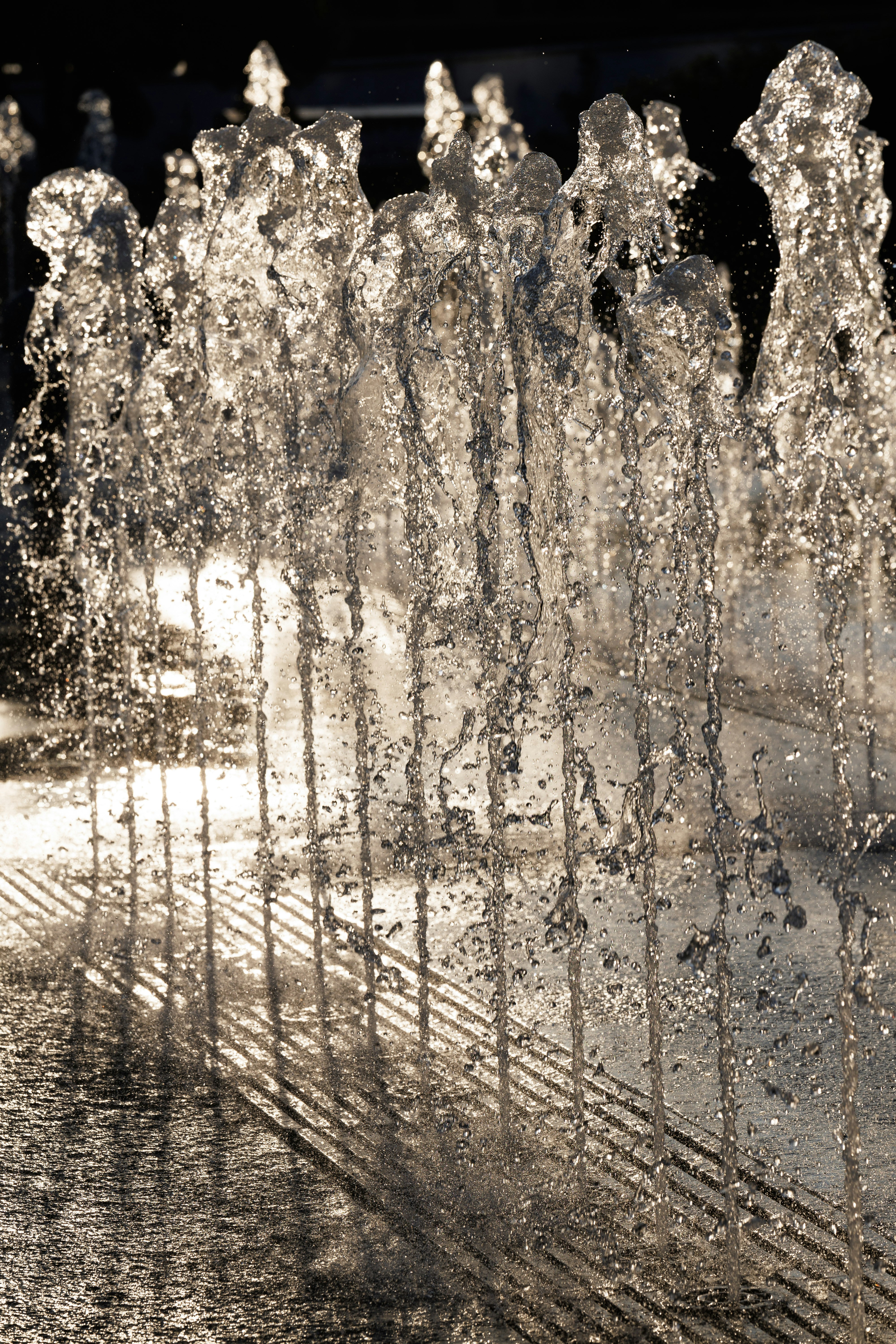Dancing Drops: A Symphony of Light and Water