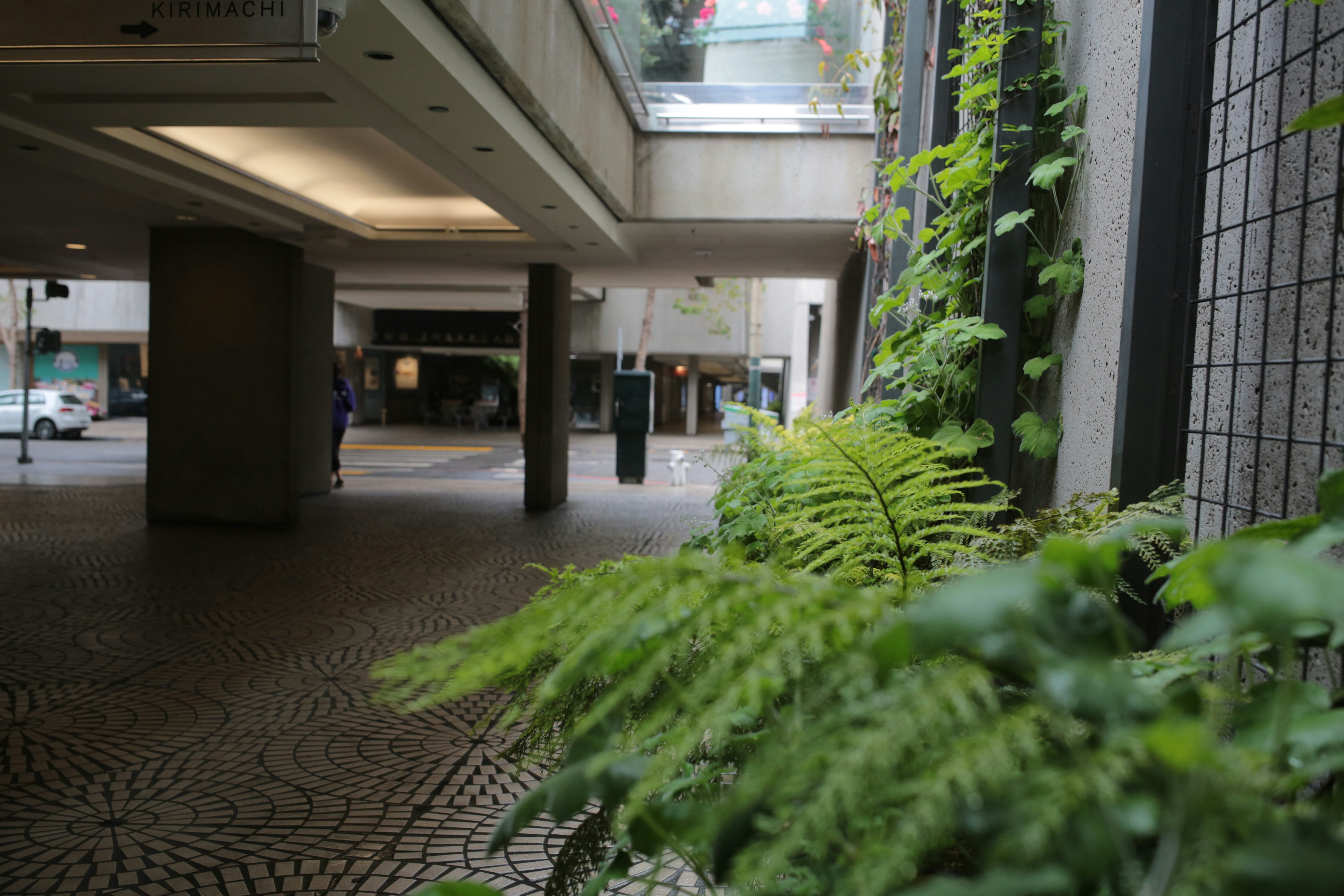 Lush green ferns frame a tranquil urban walkway, blending nature with architectural elements. The scene captures a moment of serenity amidst the city's hustle.
