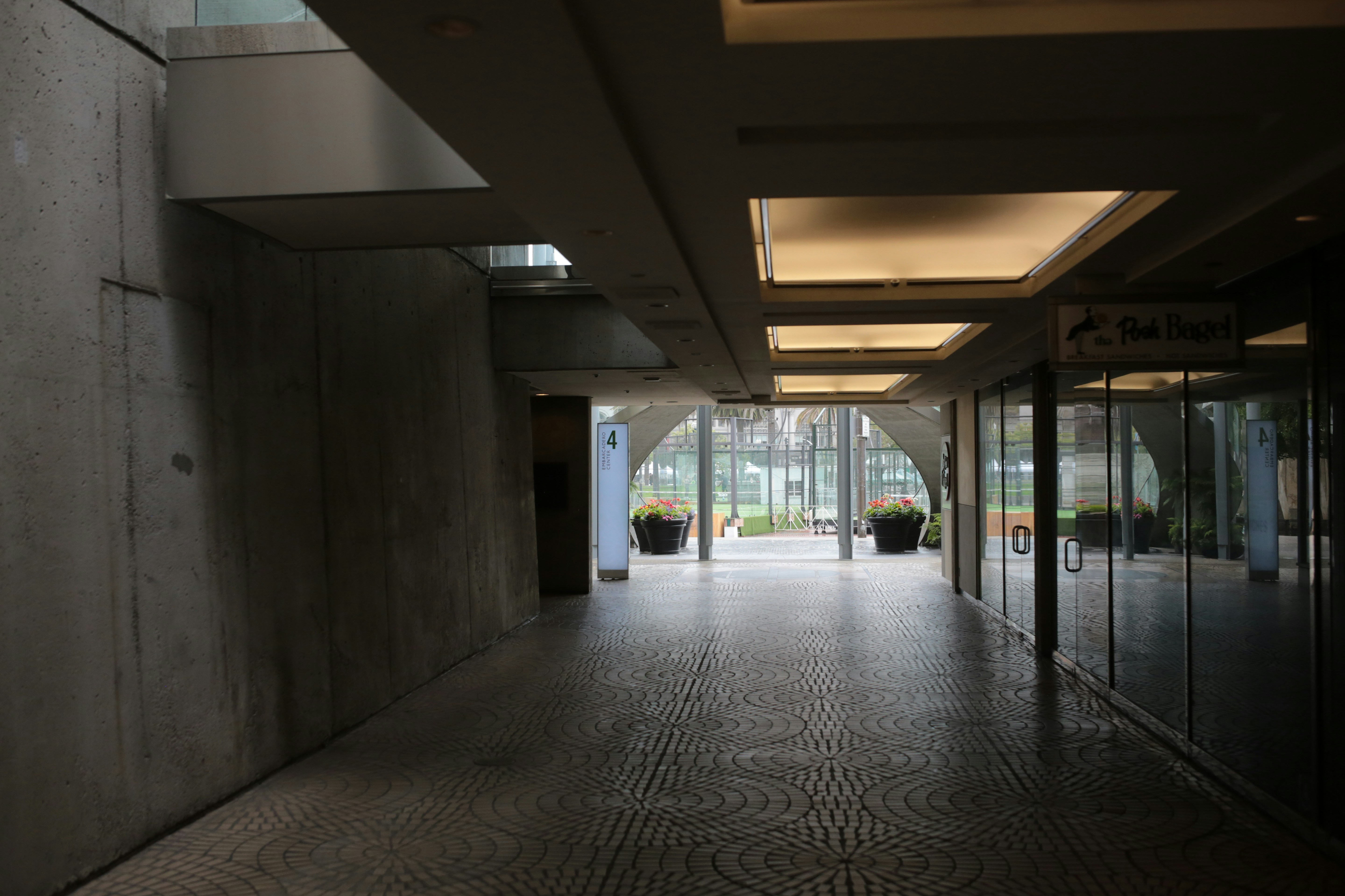 An architecture passageway with plants and glass.