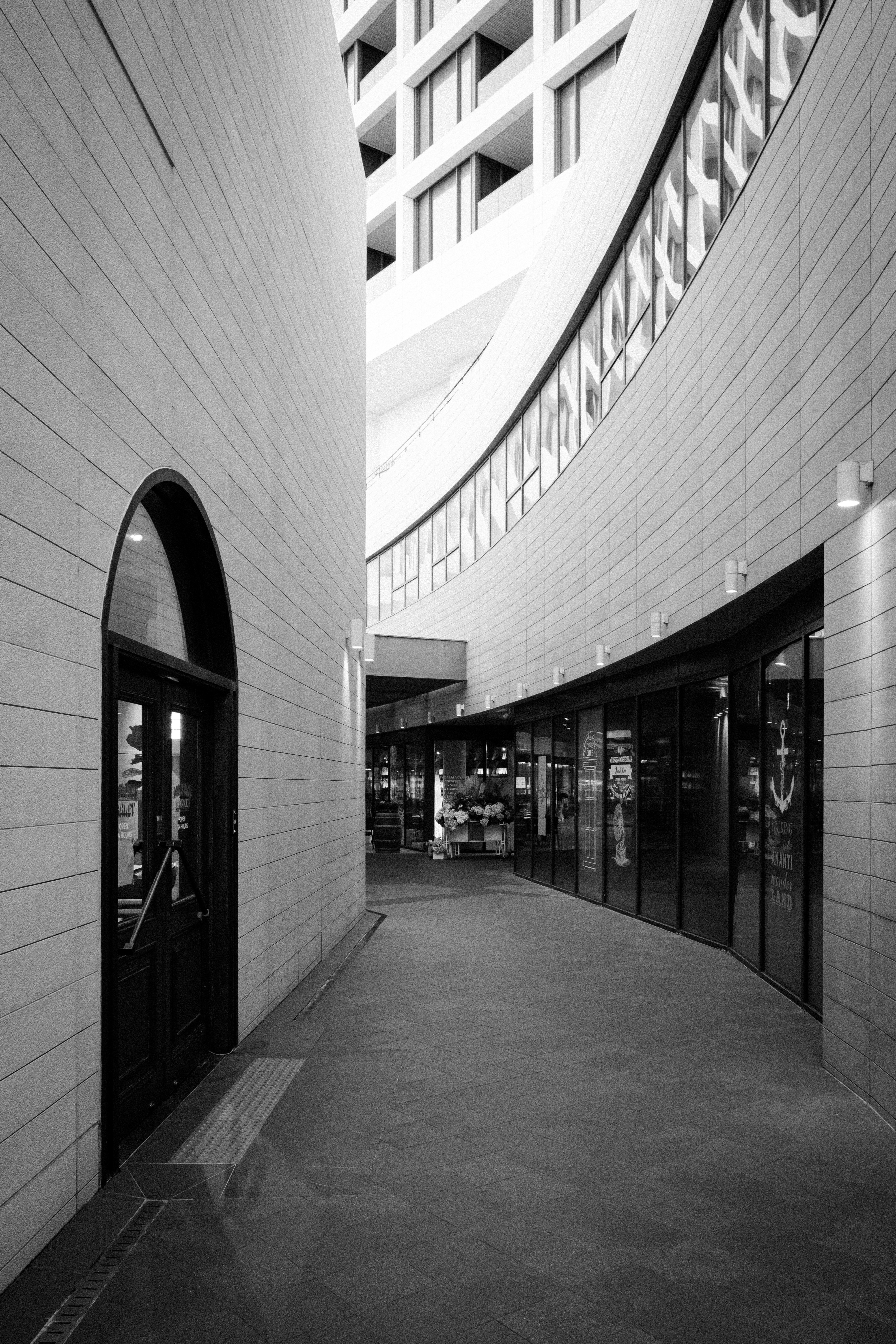 Curved Pathways: A Dance of Light and Shadow