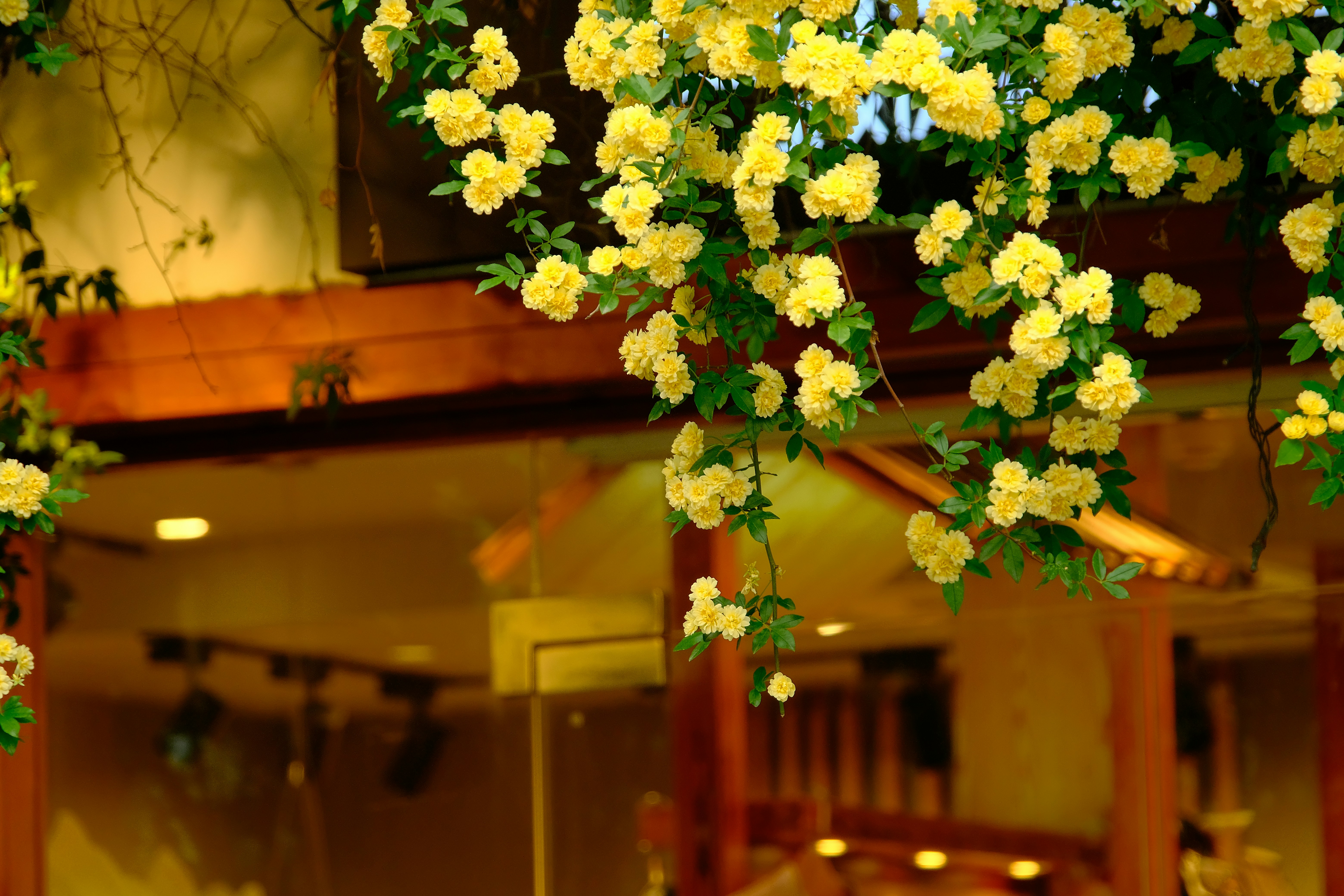 Floral Cascade: A Touch of Nature's Elegance