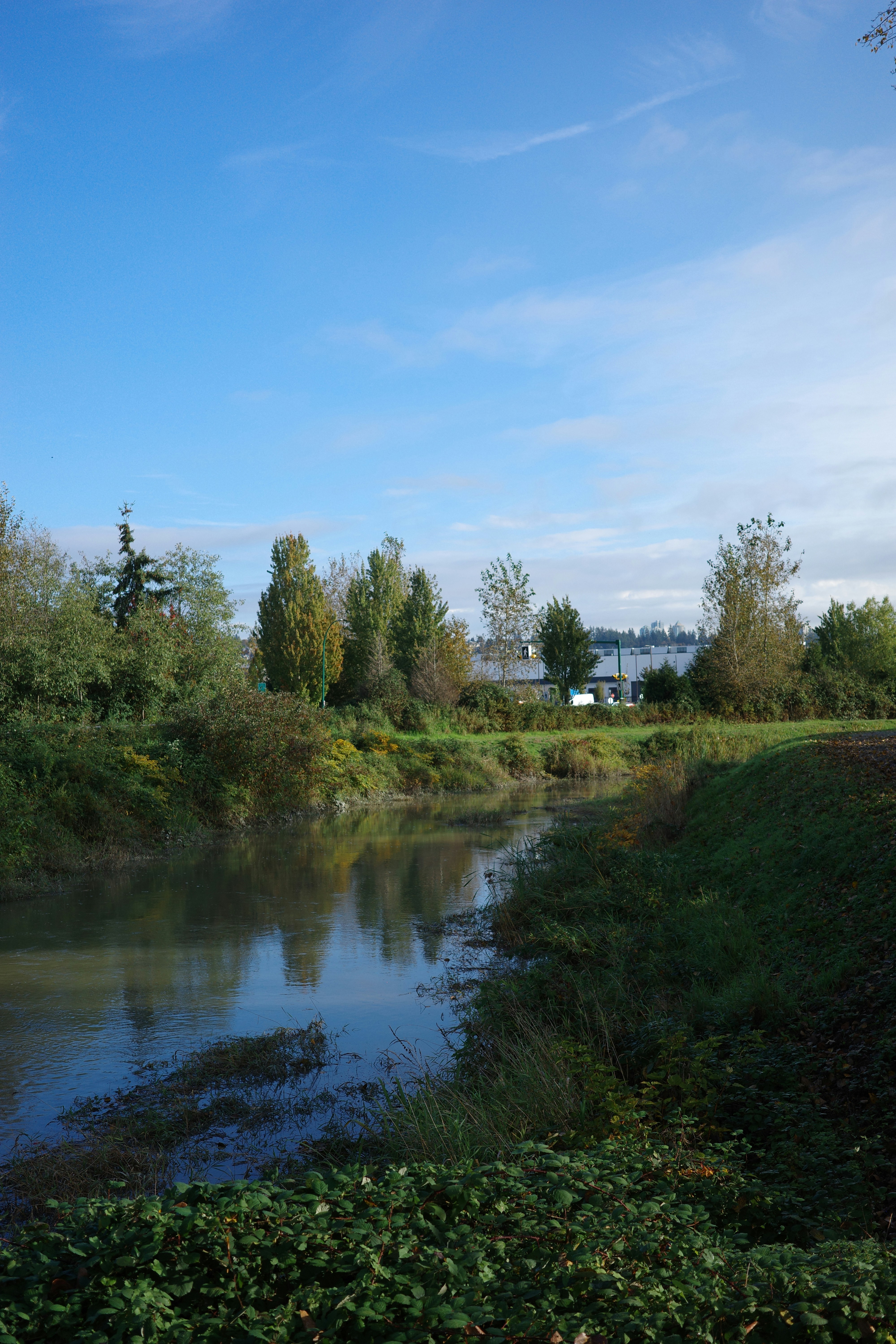 Reflections of Tranquility: A Serene Waterway