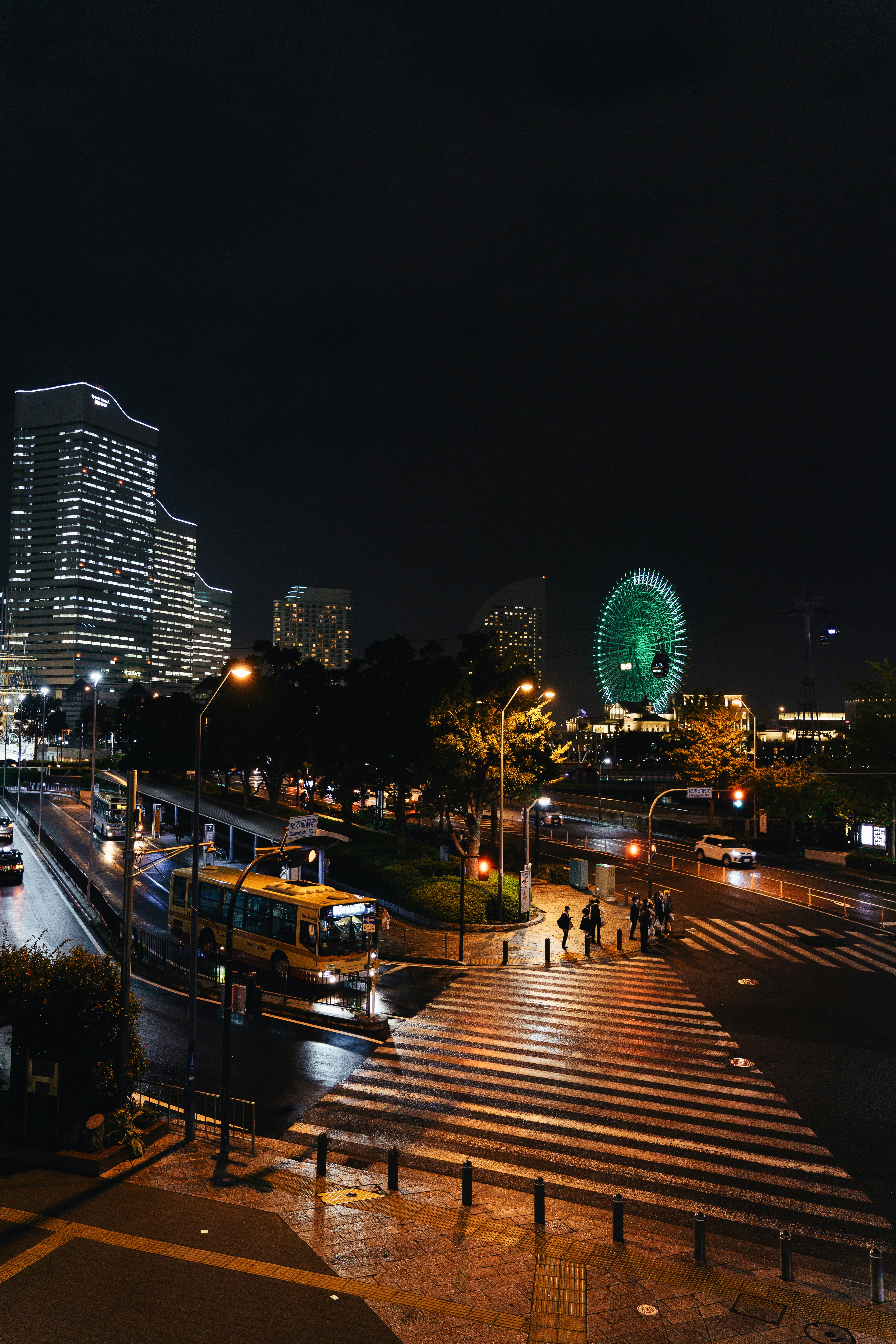 City lights illuminate at night, with a ferris wheel.