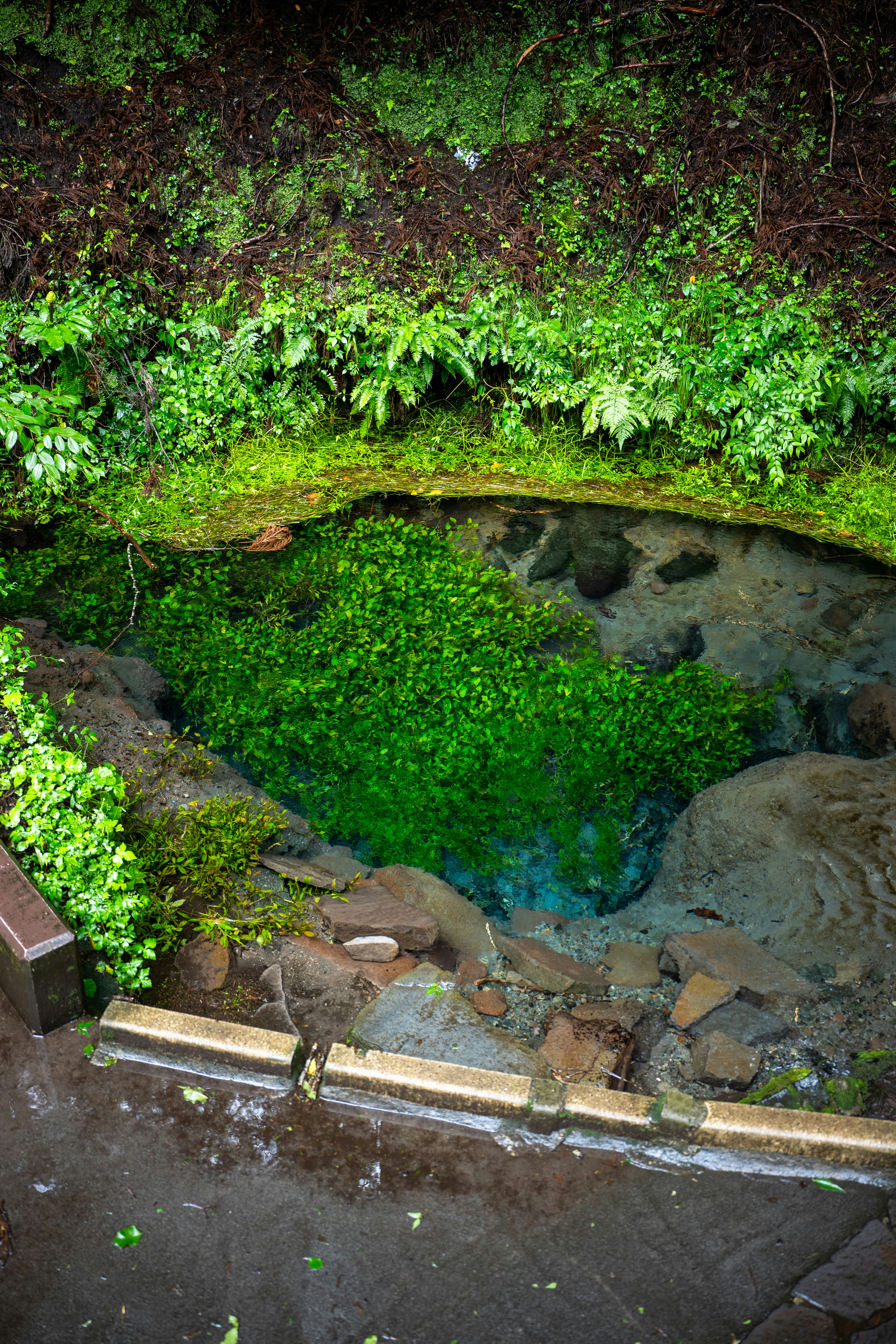 Emerald Crater Pool: Mossy Rim Embracing a Blue-Green Oasis