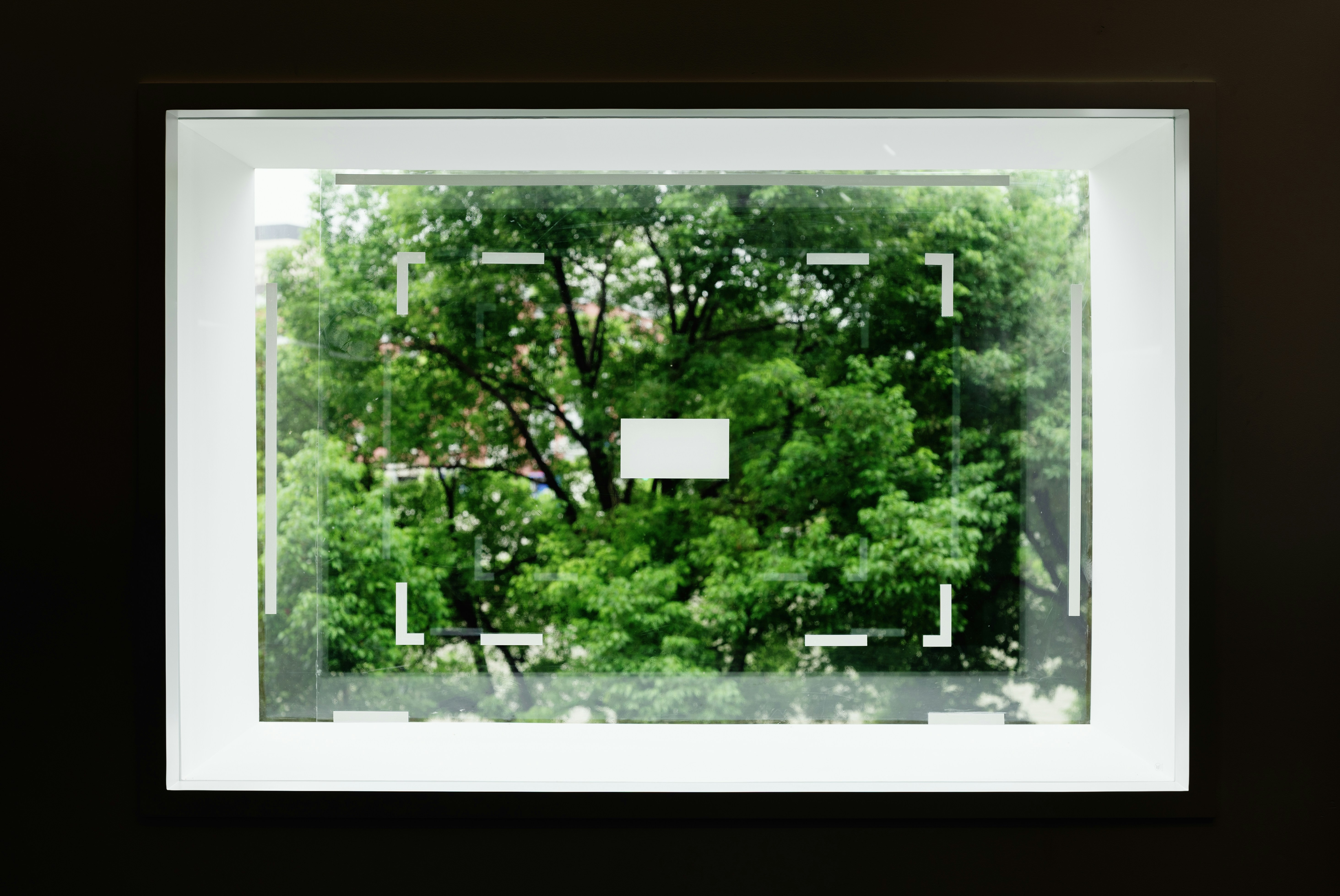 Viewfinder Window: Verdant Canopy Framed by Geometry