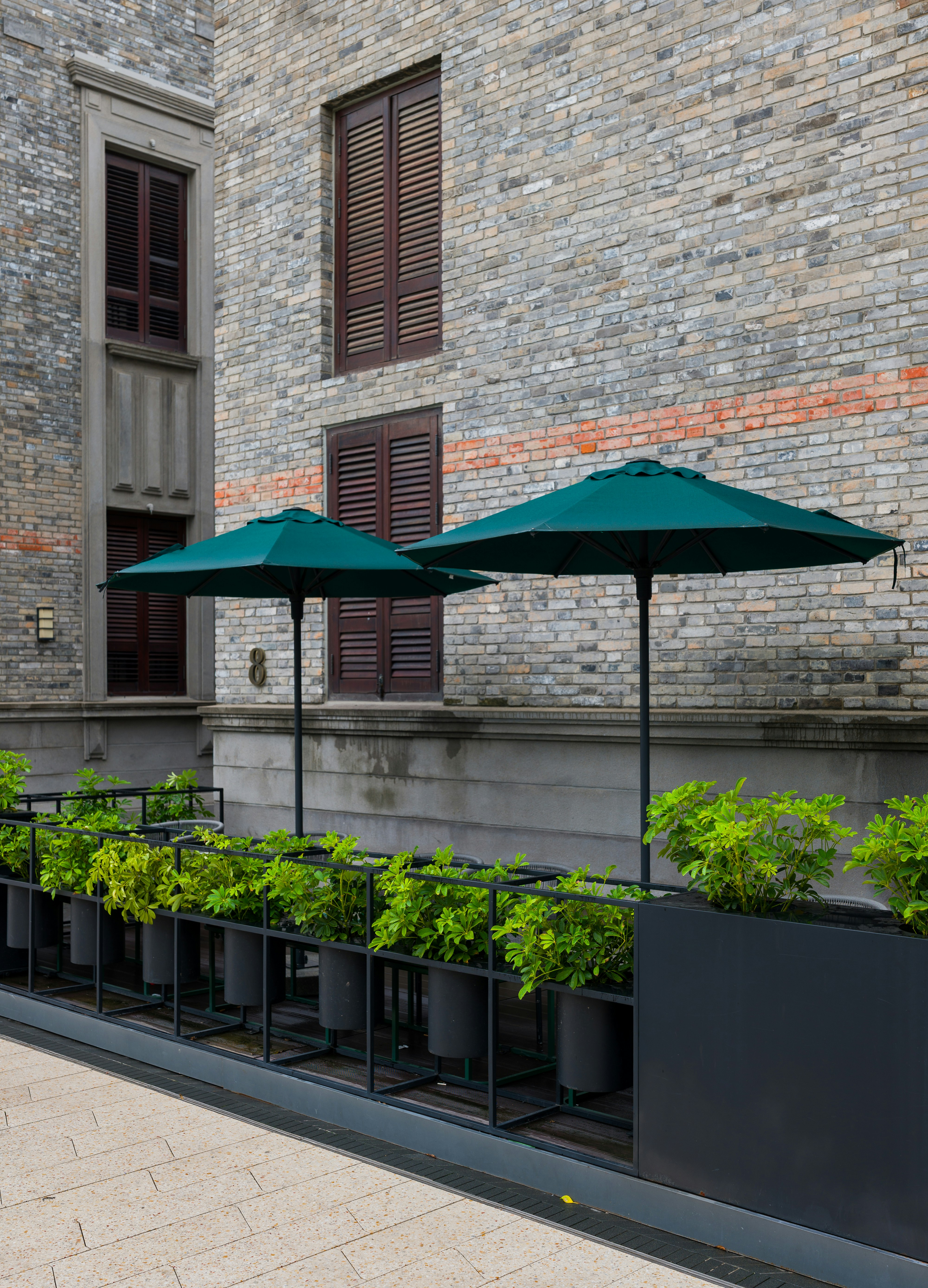Urban Oasis: Greenery Beneath the Canopy