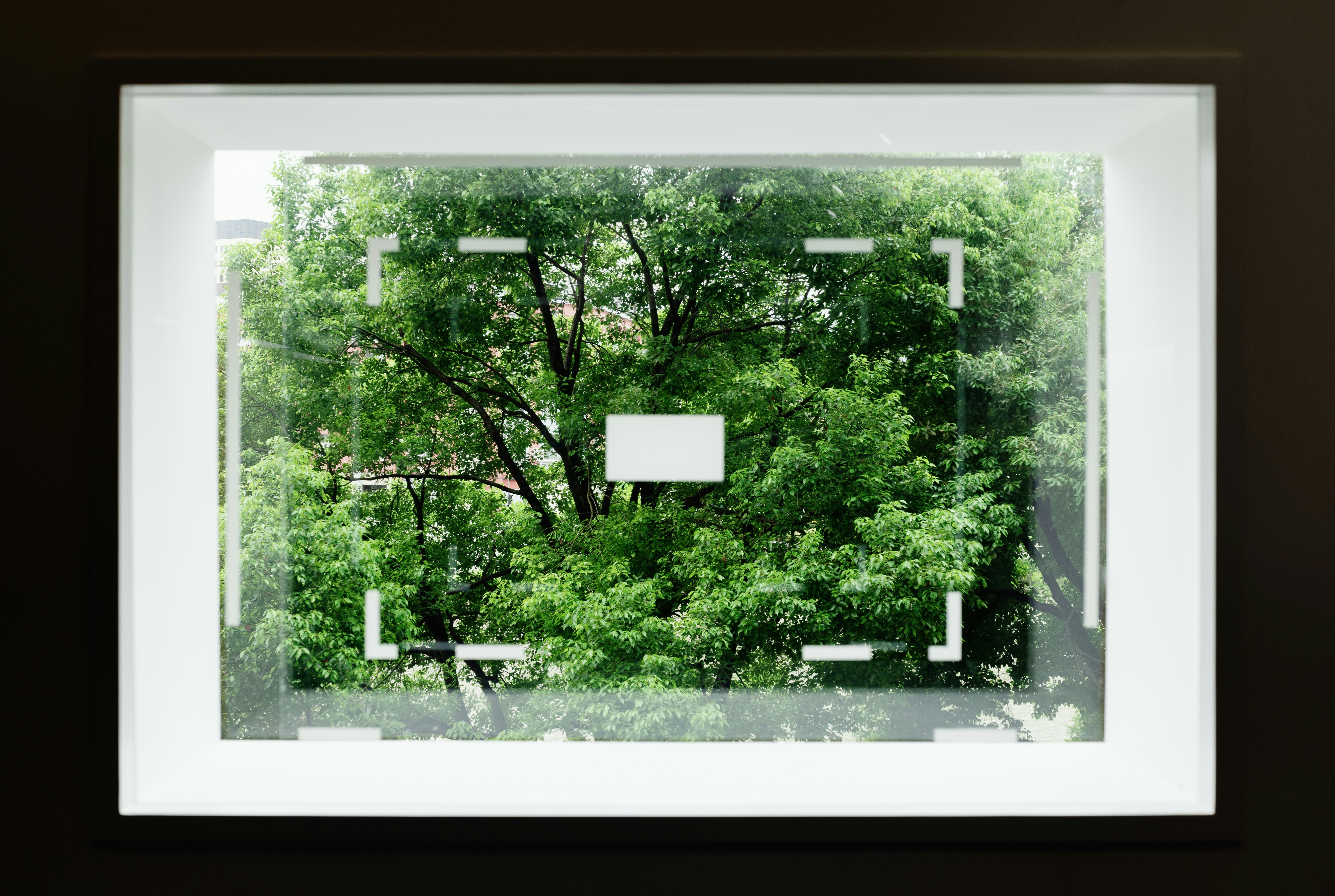 Framing Nature: A Window to the Green