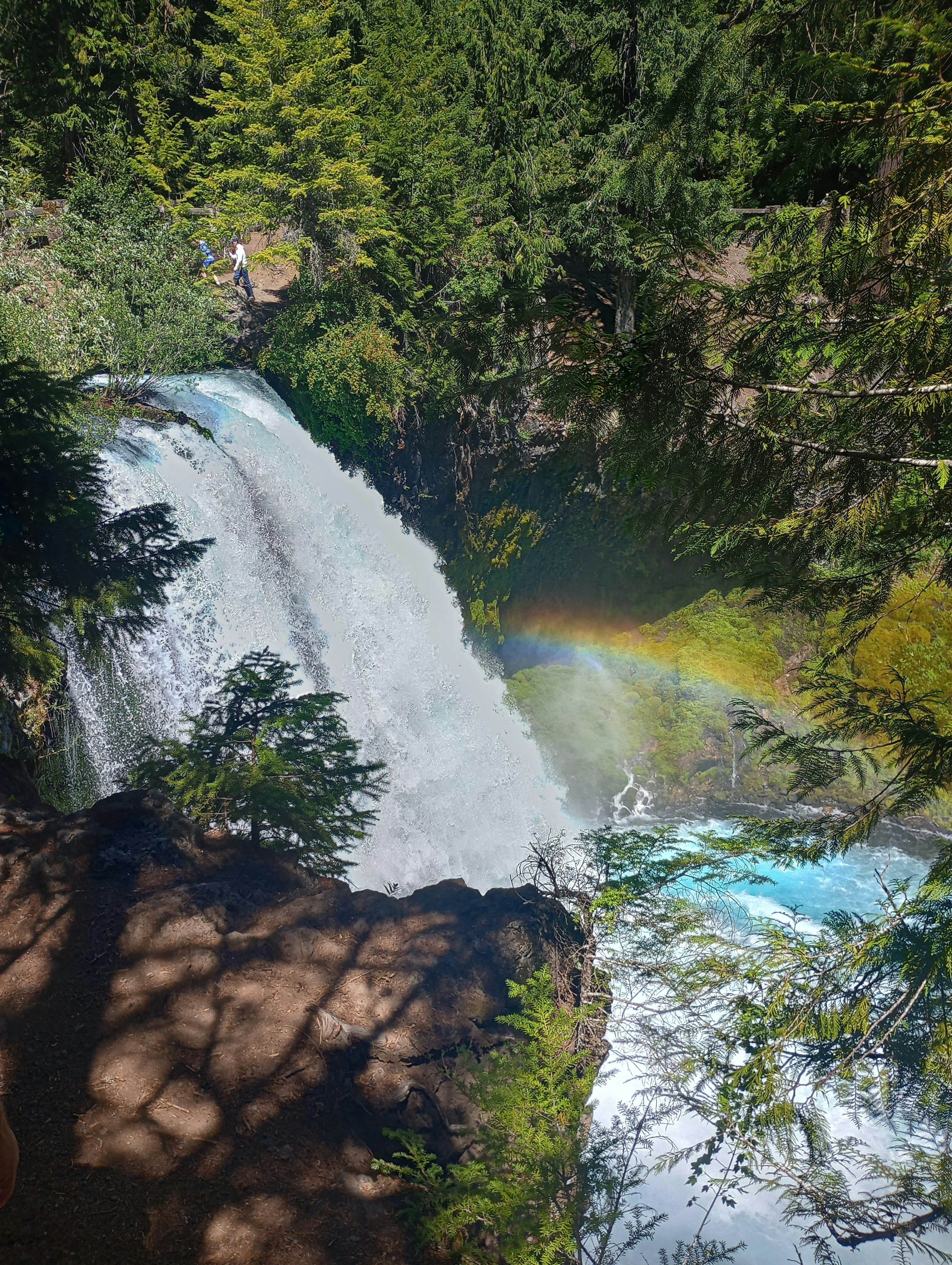 A majestic waterfall is framed by lush greenery.