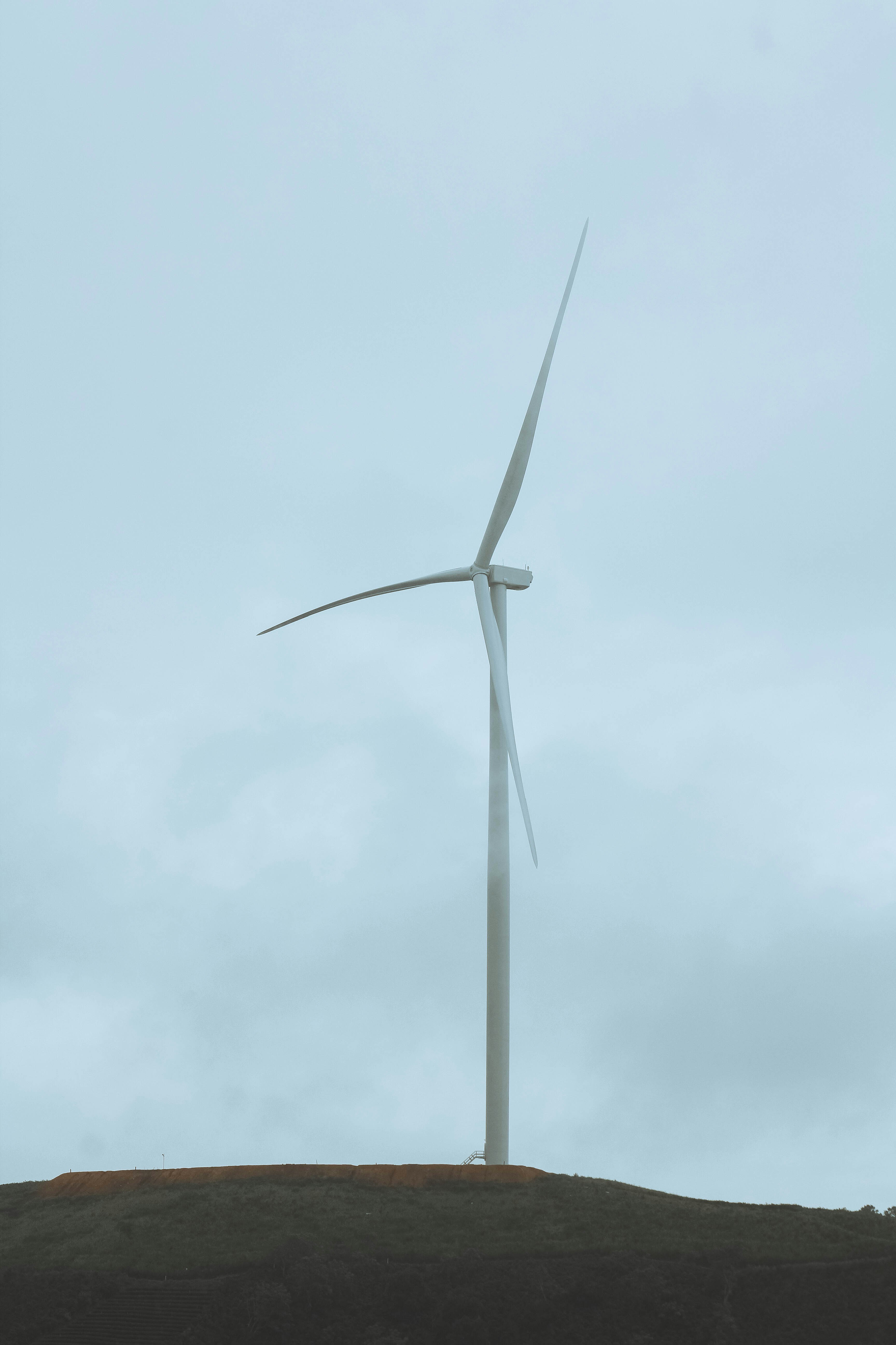 Giant Sentinel of the Skies
