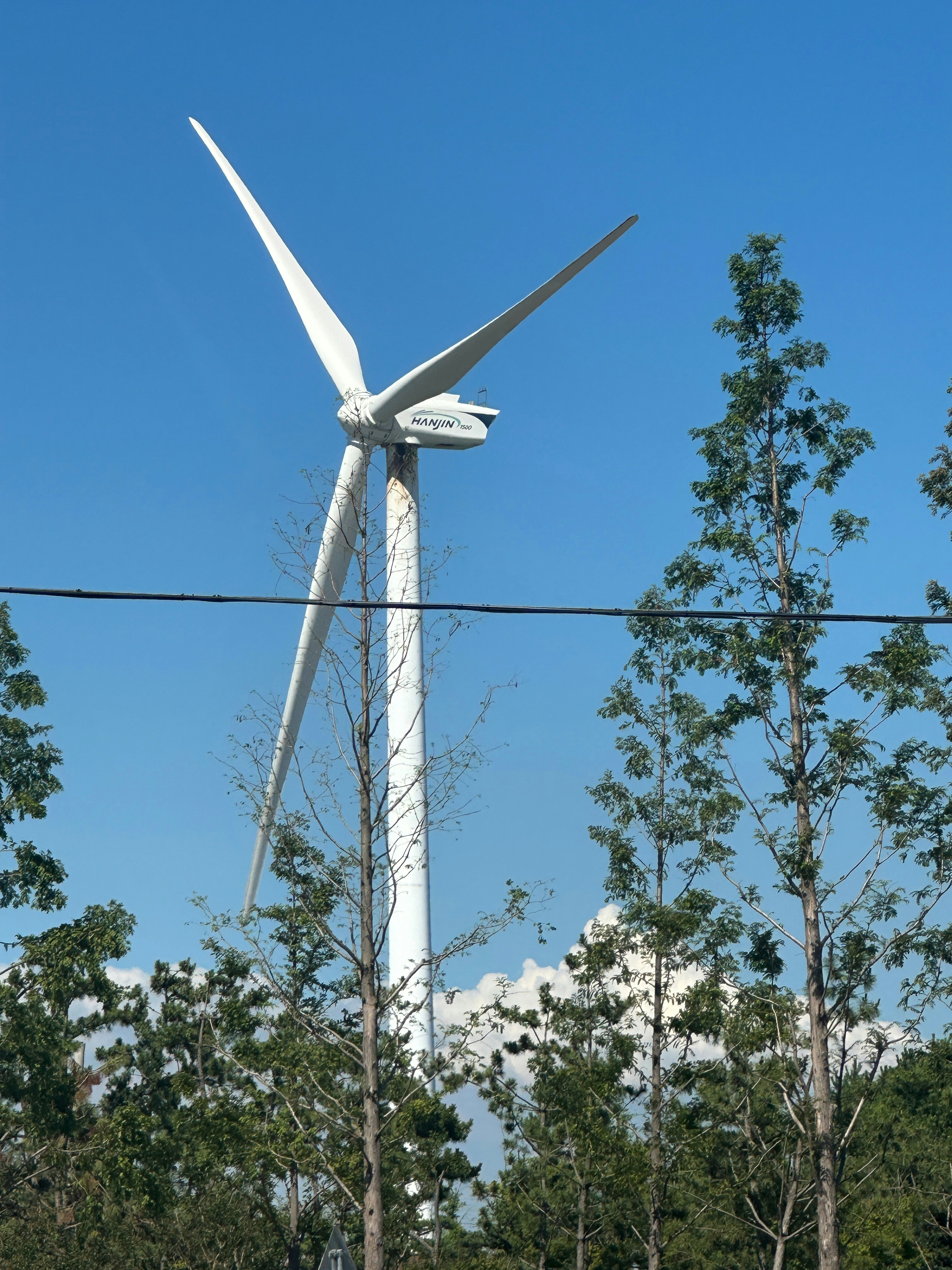 Harnessing Nature's Power: The Wind Turbine's Silent Dance