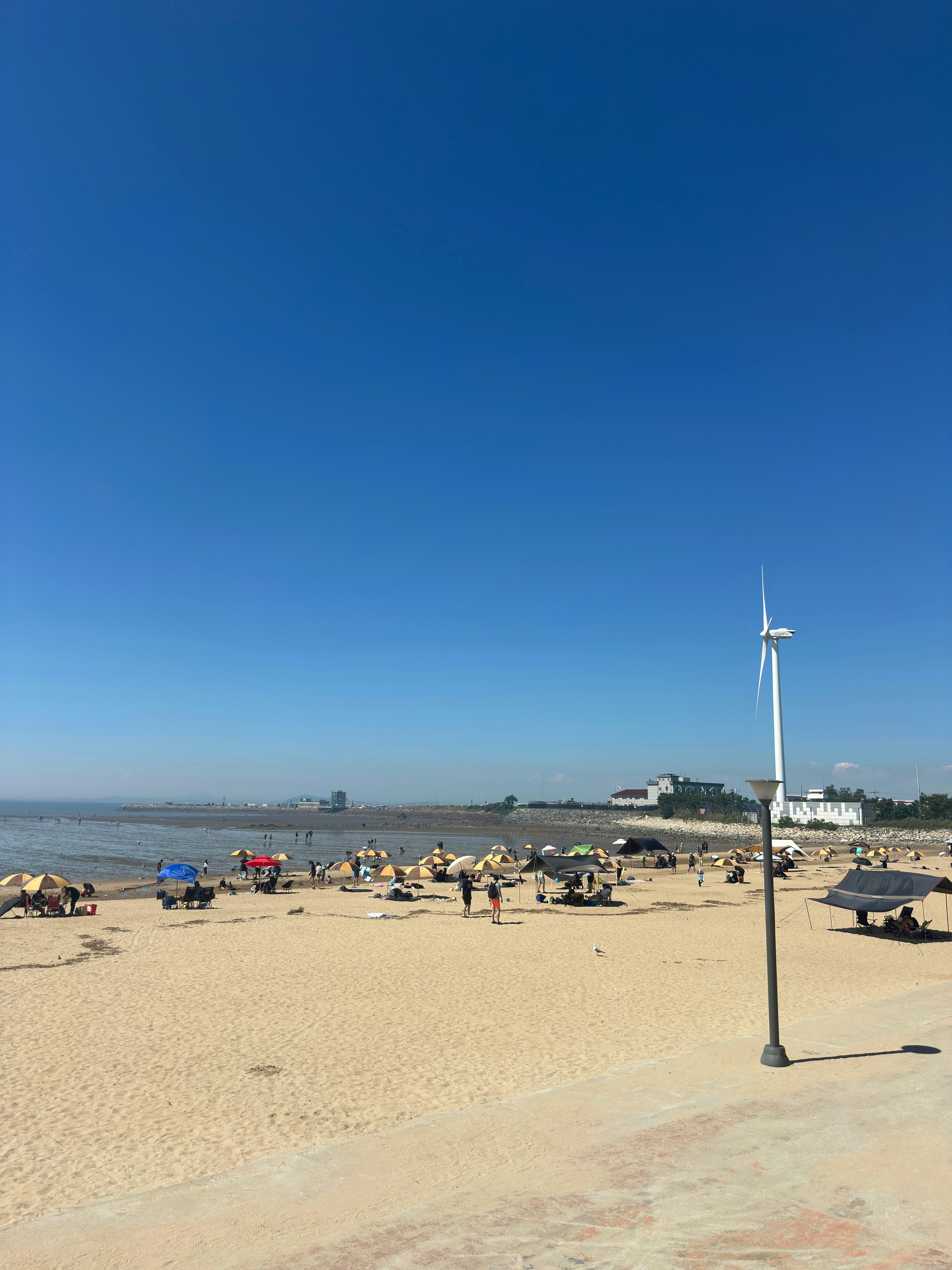 People enjoy a sunny day at the beach.
