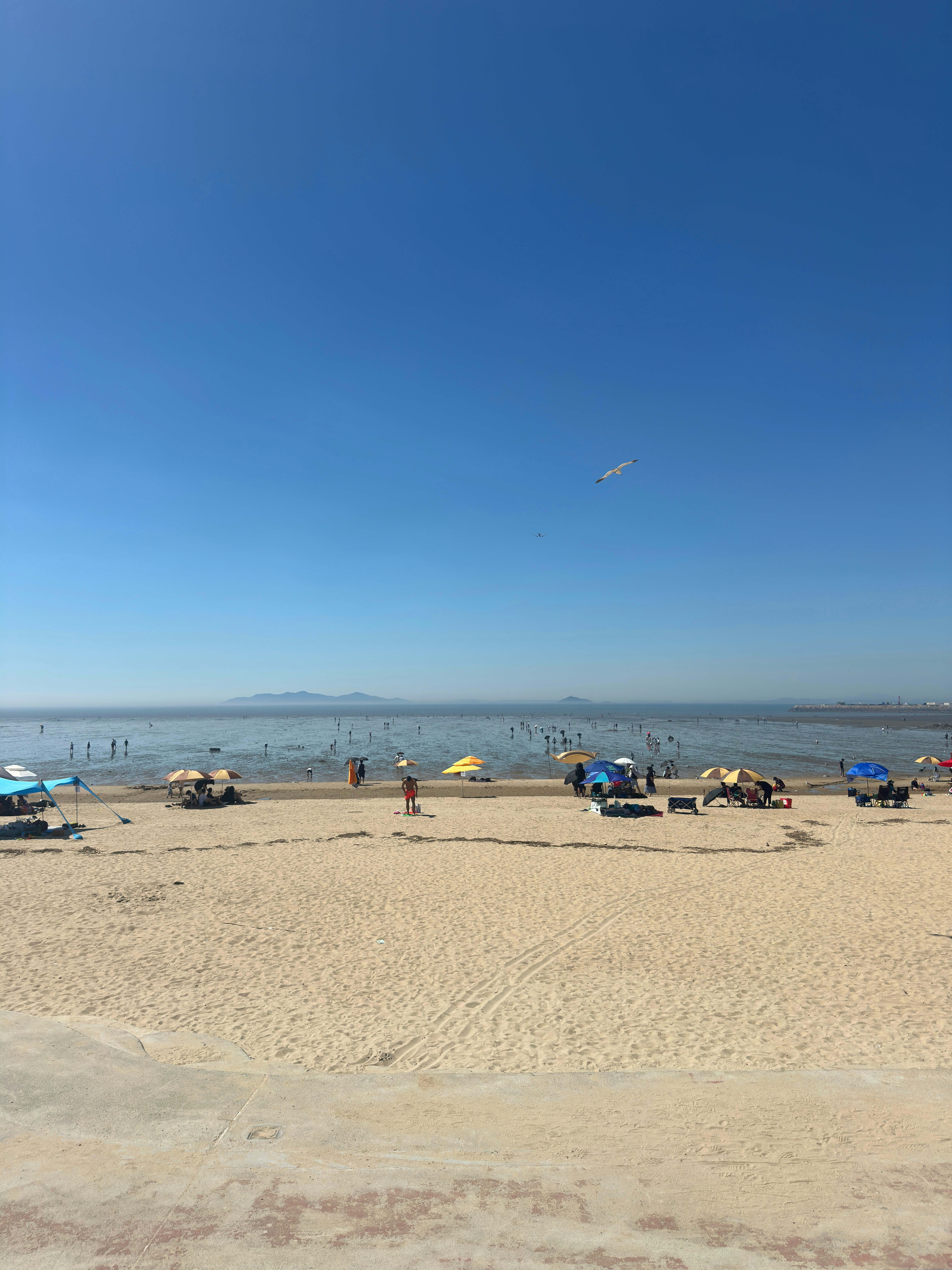 Beachgoers enjoy a sunny day at the ocean.