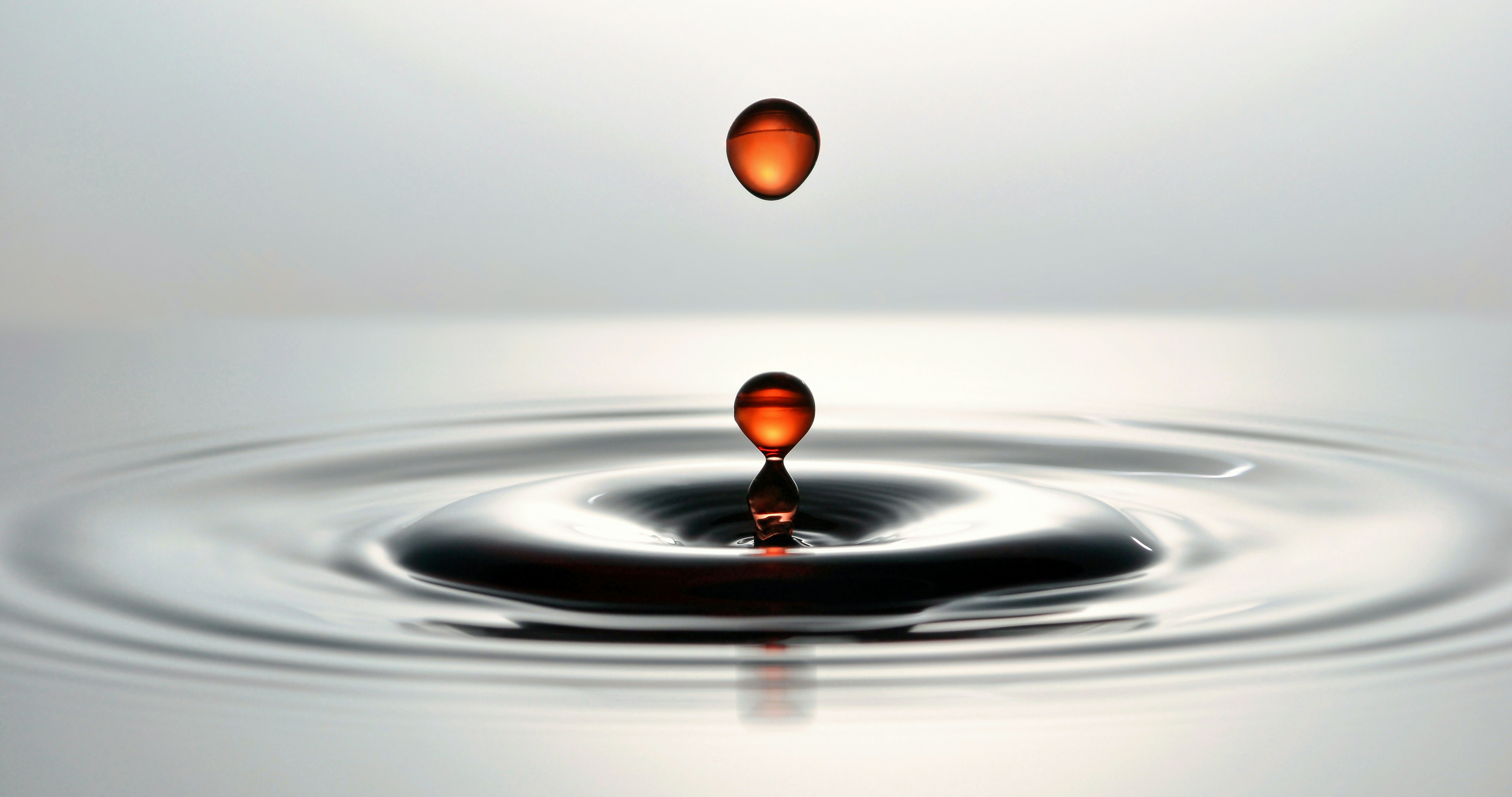 Water drops create ripples in liquid. photo – Free Experiment Image on ...