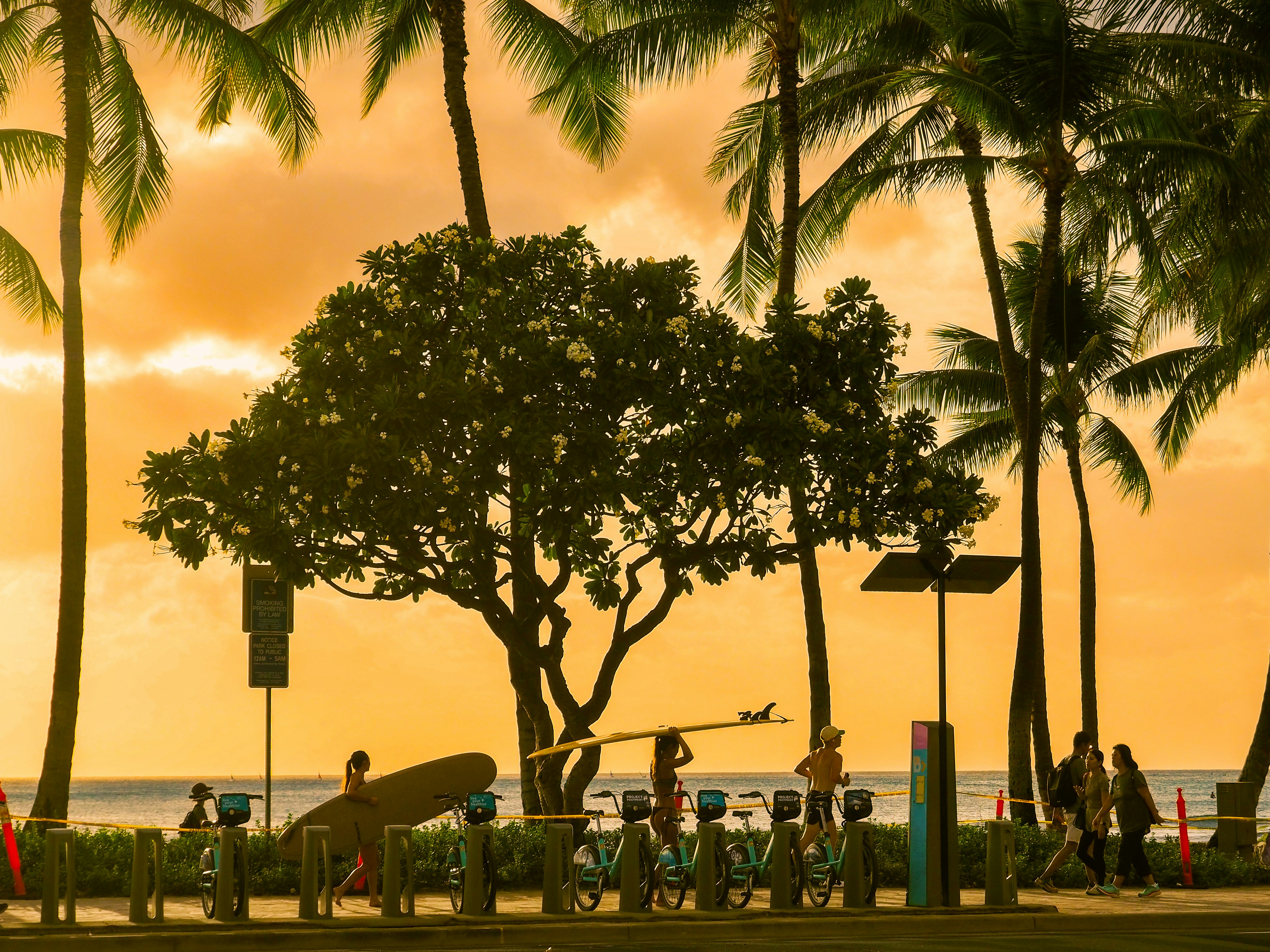 OLYMPUS DIGITAL CAMERA | Sunset over a beach with palm trees and people.
