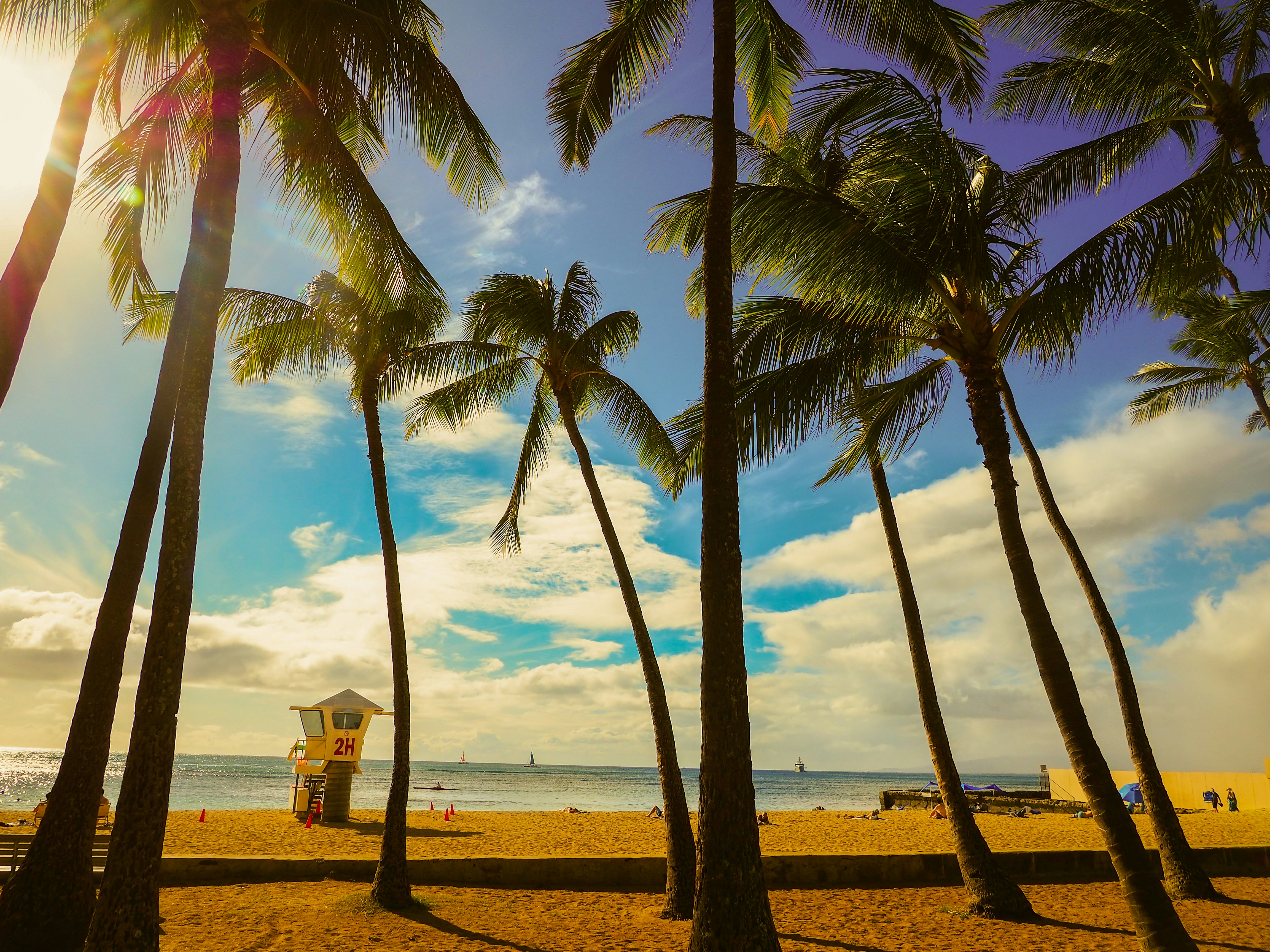 OLYMPUS DIGITAL CAMERA | Palm trees frame a sunny beach scene.